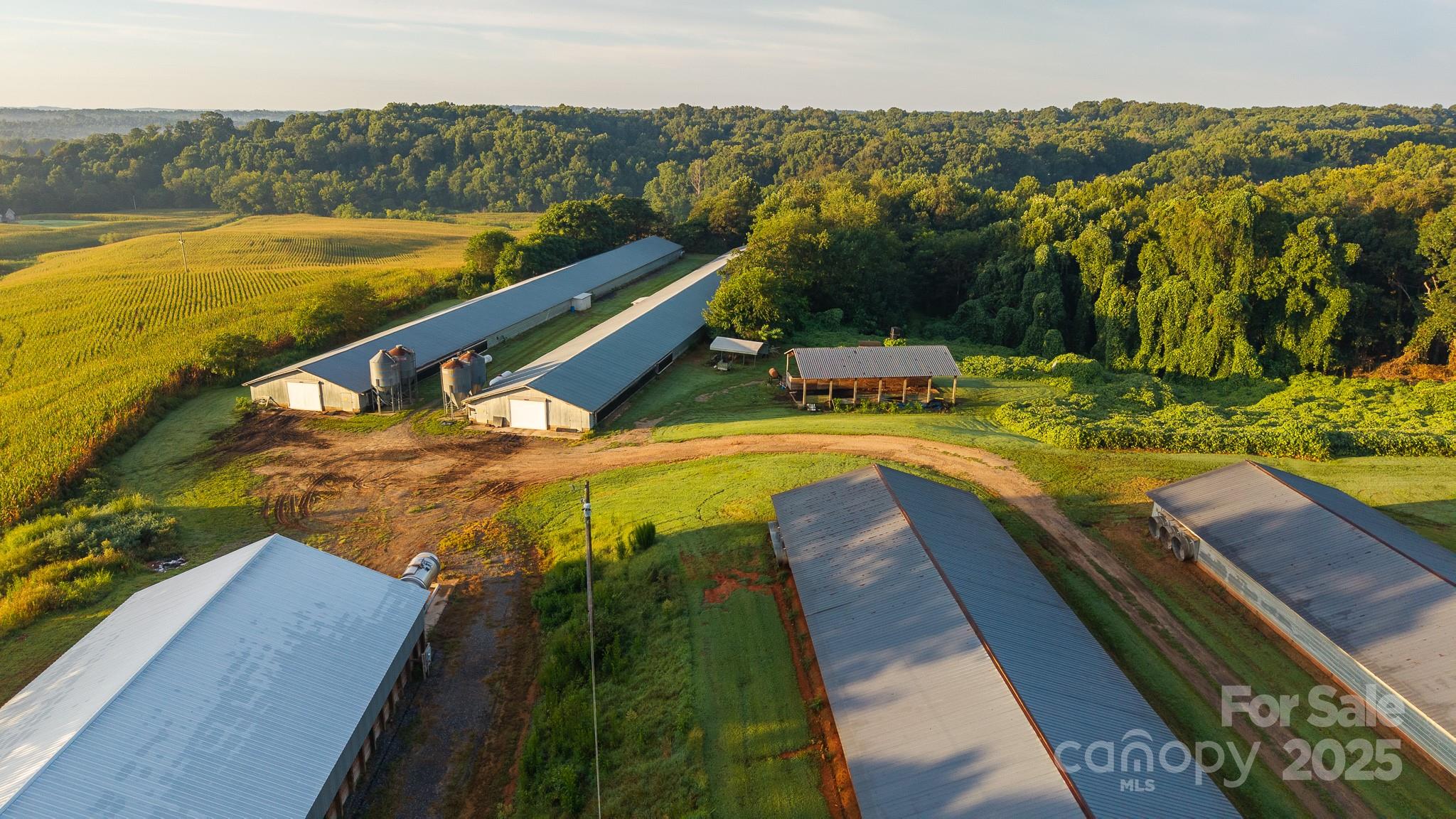 167 Buck Hollow Trail, Ararat, NC - photo 29 of 45