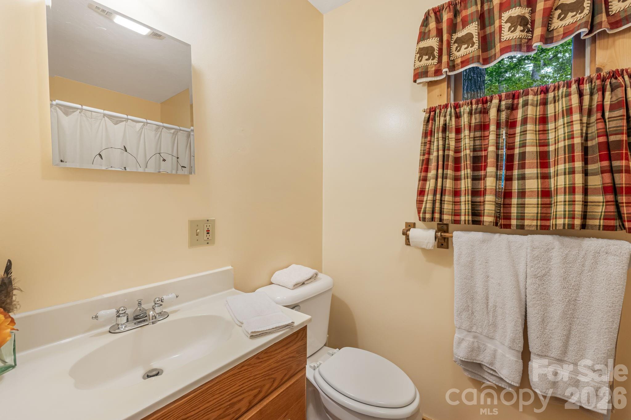 180 Grace Way, Green Mountain, NC - photo 23 of 42