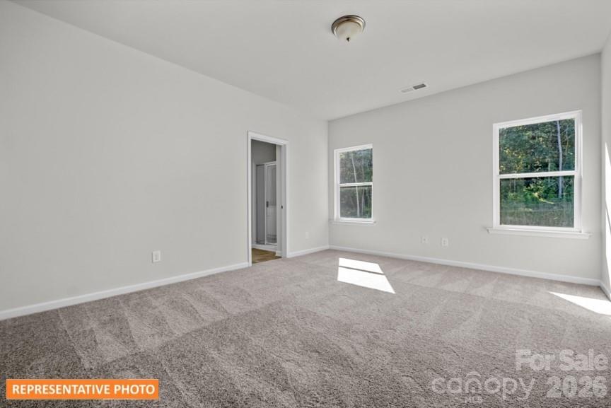 4239 Ruth Creek Court, Charlotte, NC - photo 16 of 25