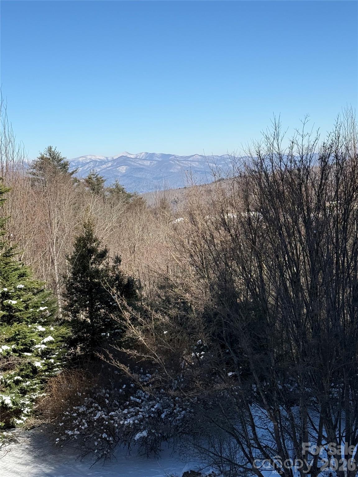 266 Lost Mine Trail, Brevard, NC - photo 46 of 48
