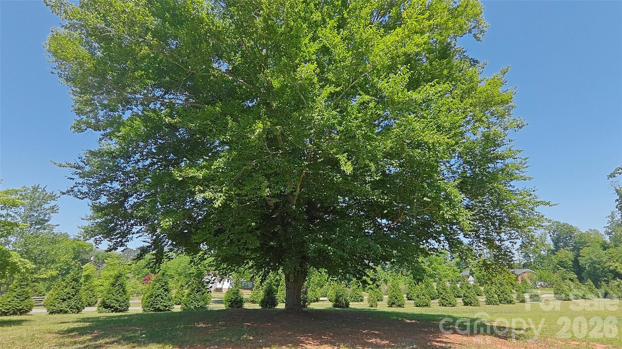 8710 Stokes Ferry Road, Salisbury, NC - photo 27 of 29