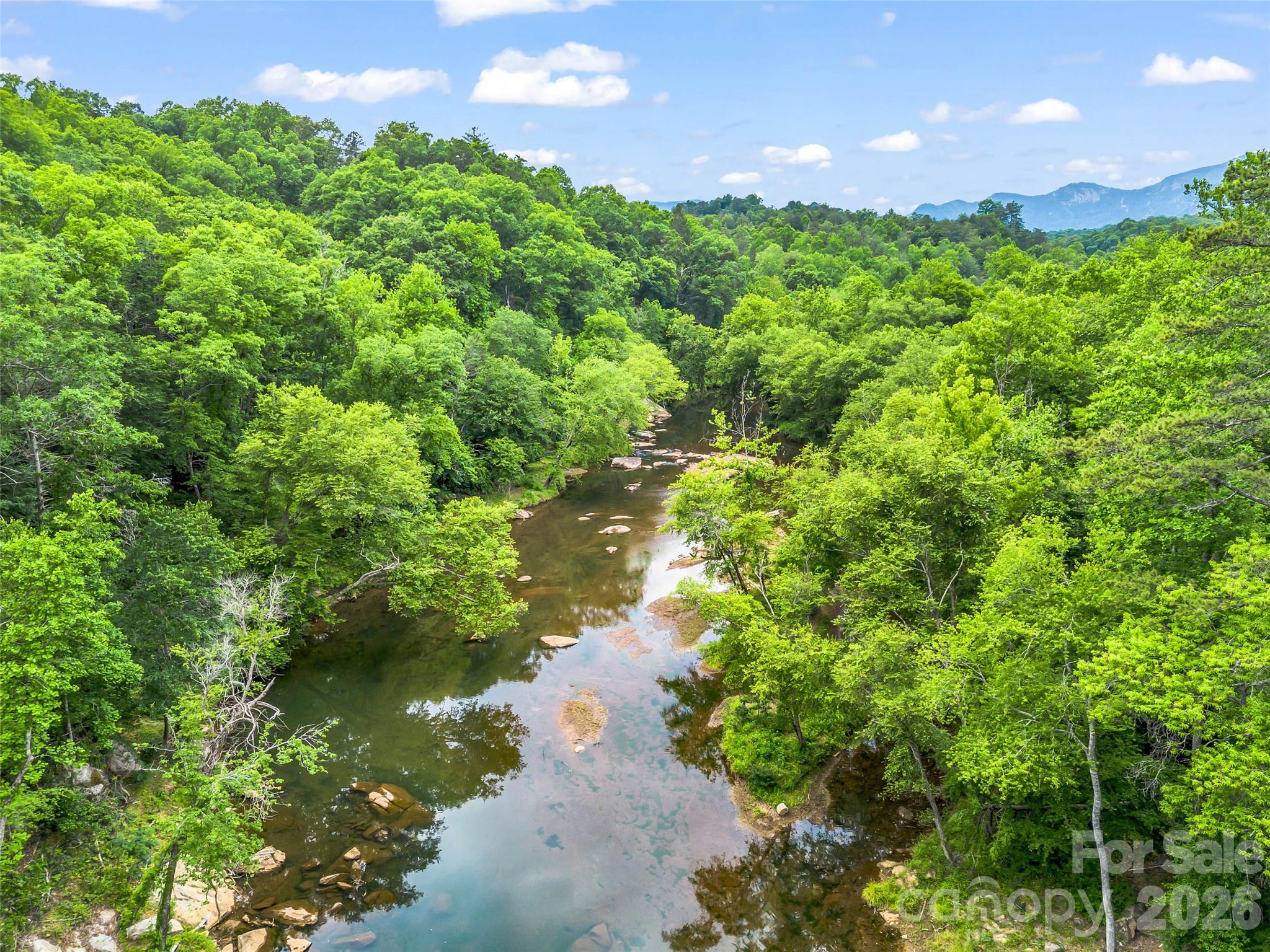 6651 US 64/74A Highway, Lake Lure, NC - photo 30 of 45