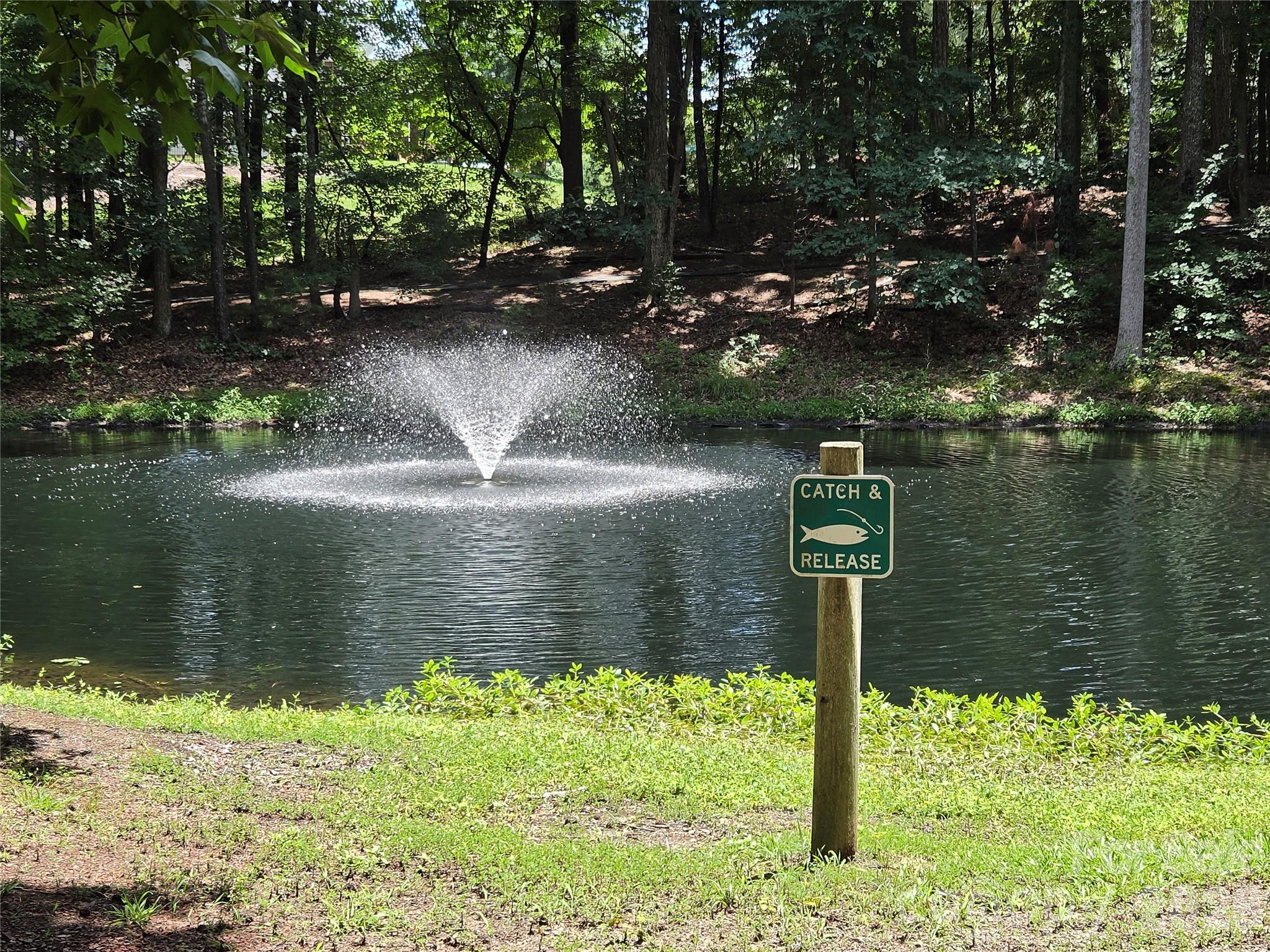 Photo 34 of 109 Oak Grove Court, Fort Mill, SC