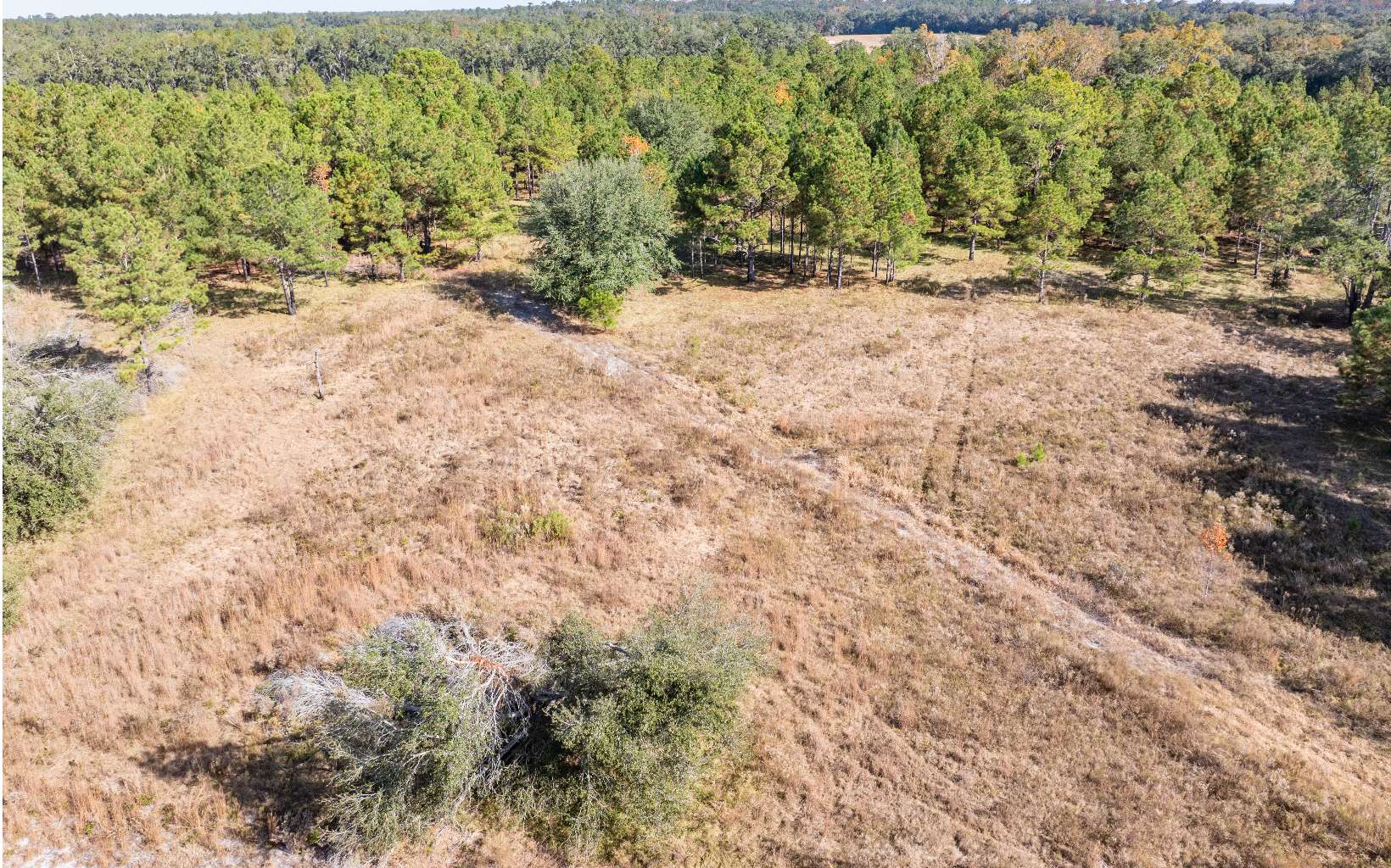 Large Acreage tracts for sale in North Florida
