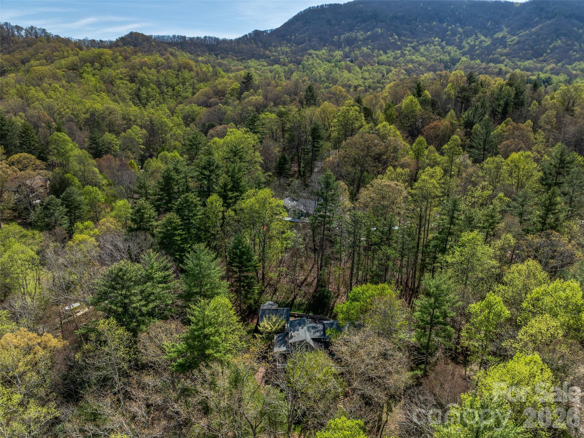 18 Thousand Oaks Boulevard, Fairview, NC - photo 44 of 45