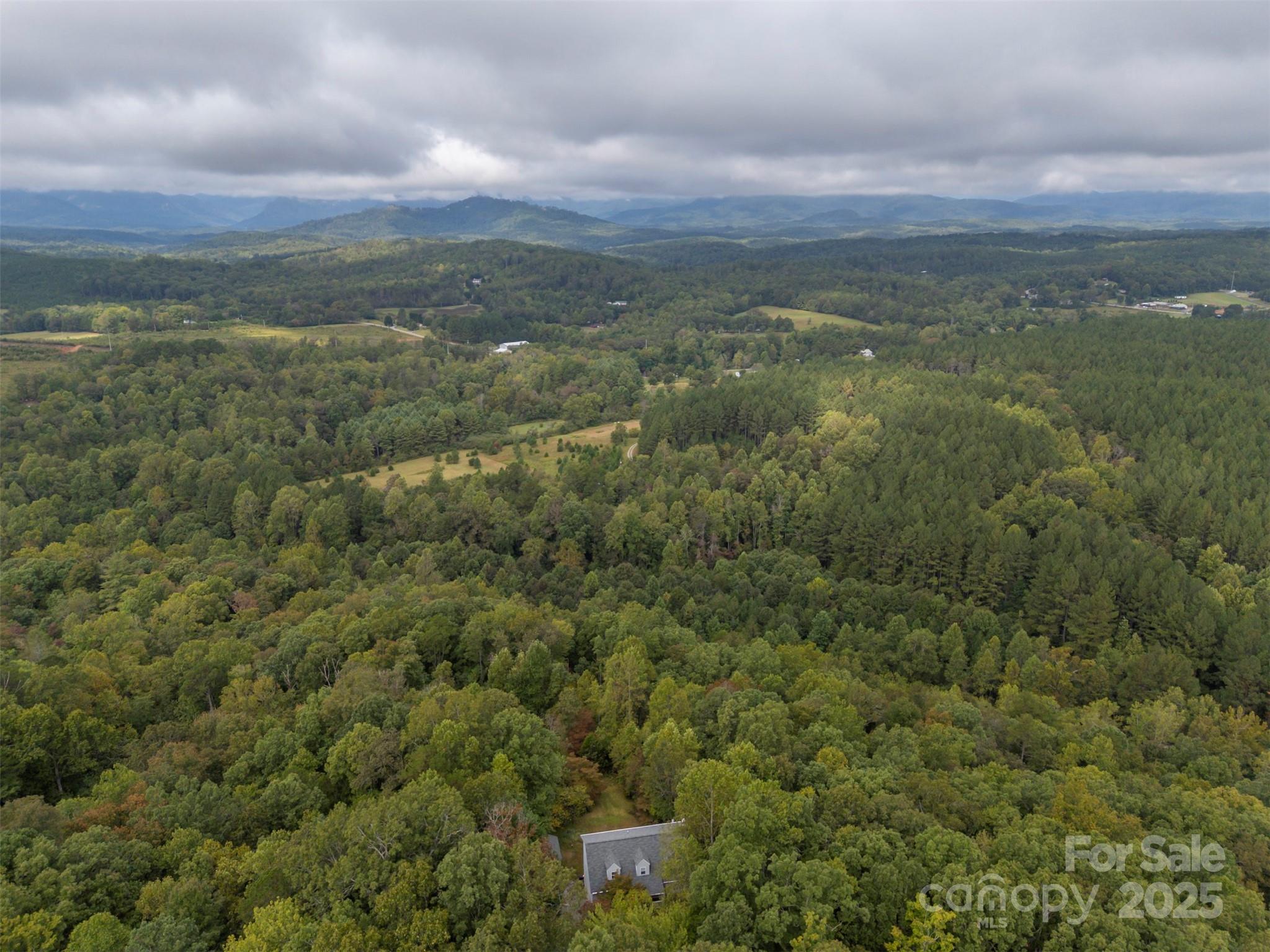 167 Balfour Drive, Rutherfordton, NC - photo 46 of 49
