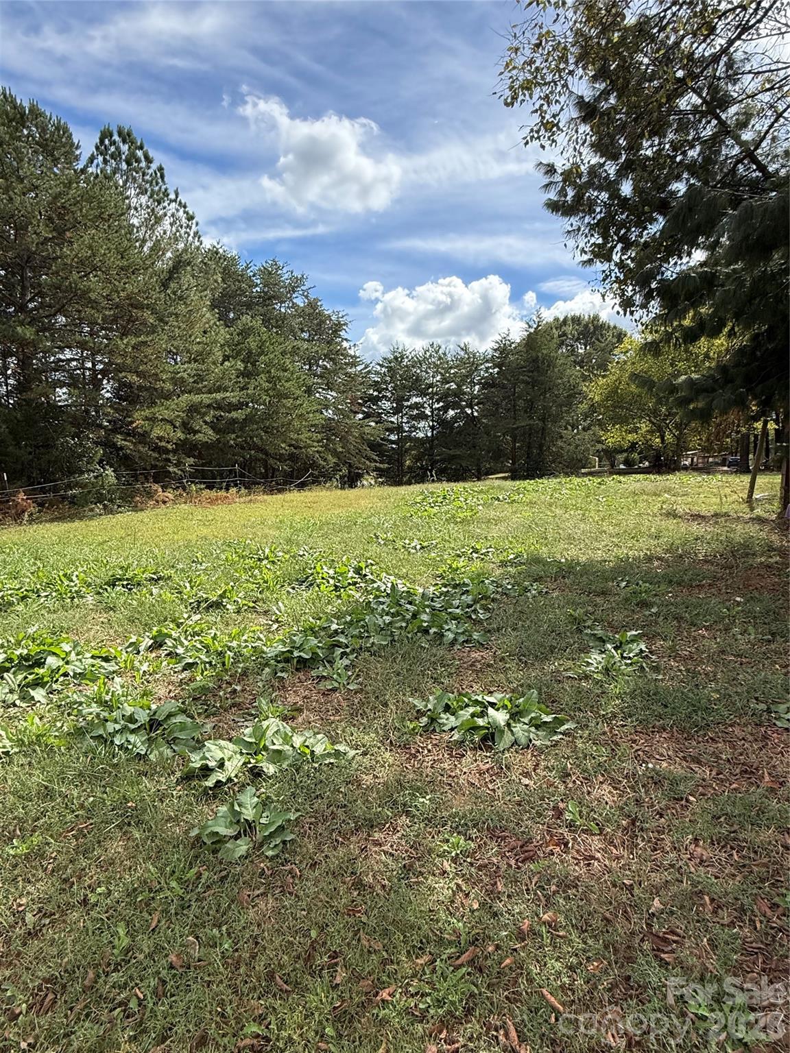 Home for sale at 15869 Silver Road, Oakboro, NC — photo 37 of 40