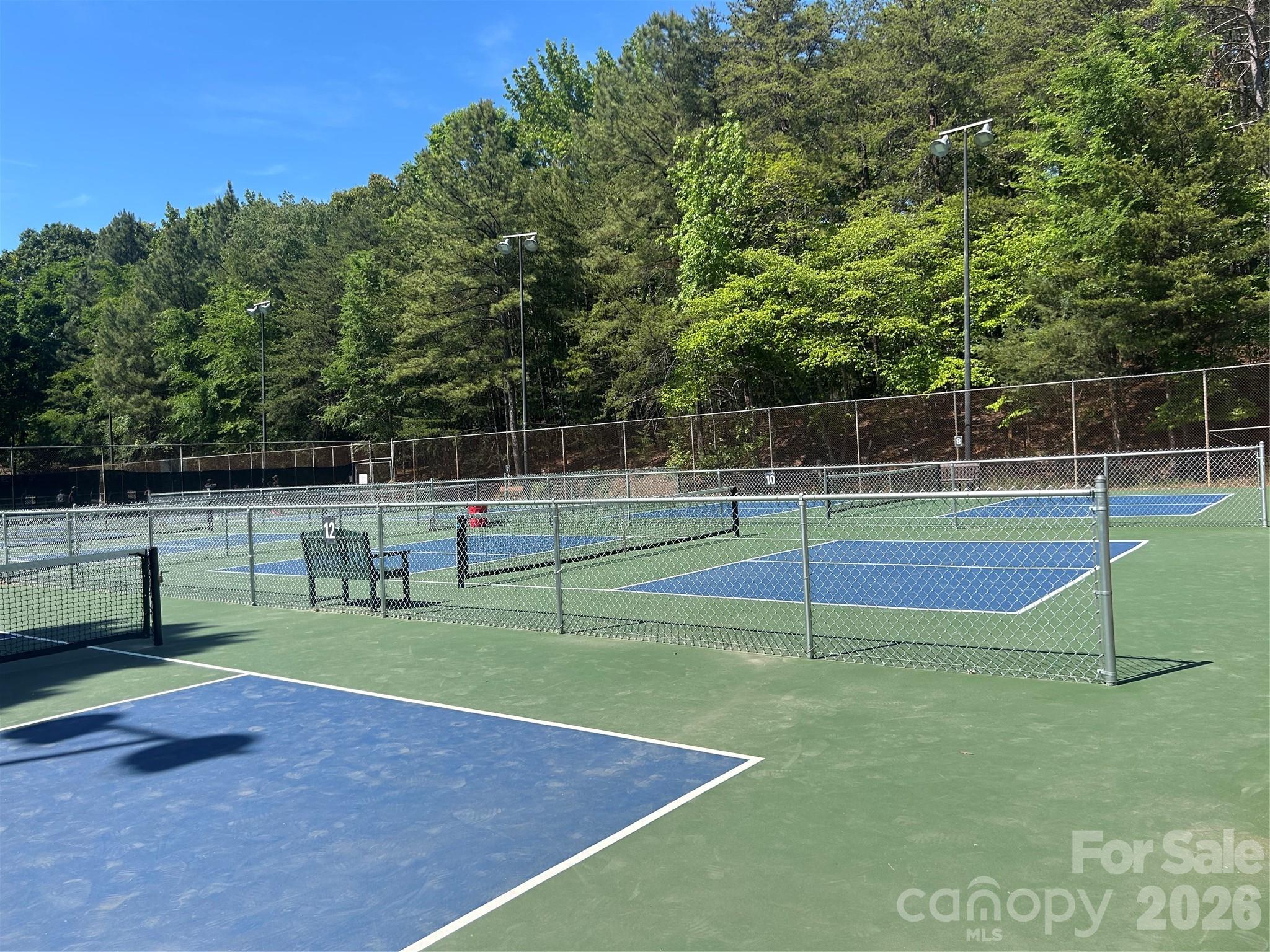 Photo 47 of 7038 Chelsea Day Lane, Tega Cay, SC