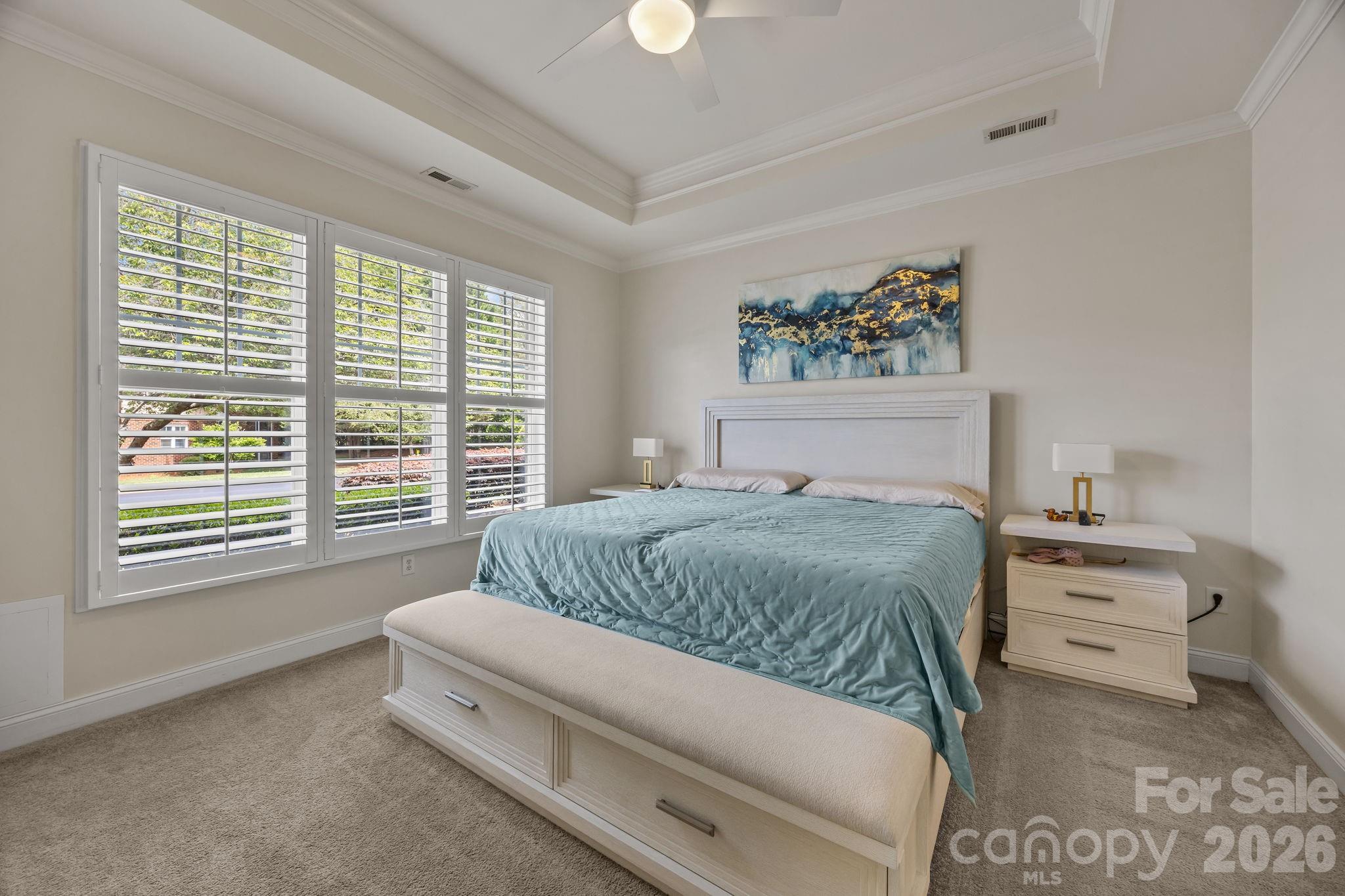 13323 Mint Lake Drive, Matthews, NC - photo 16 of 25