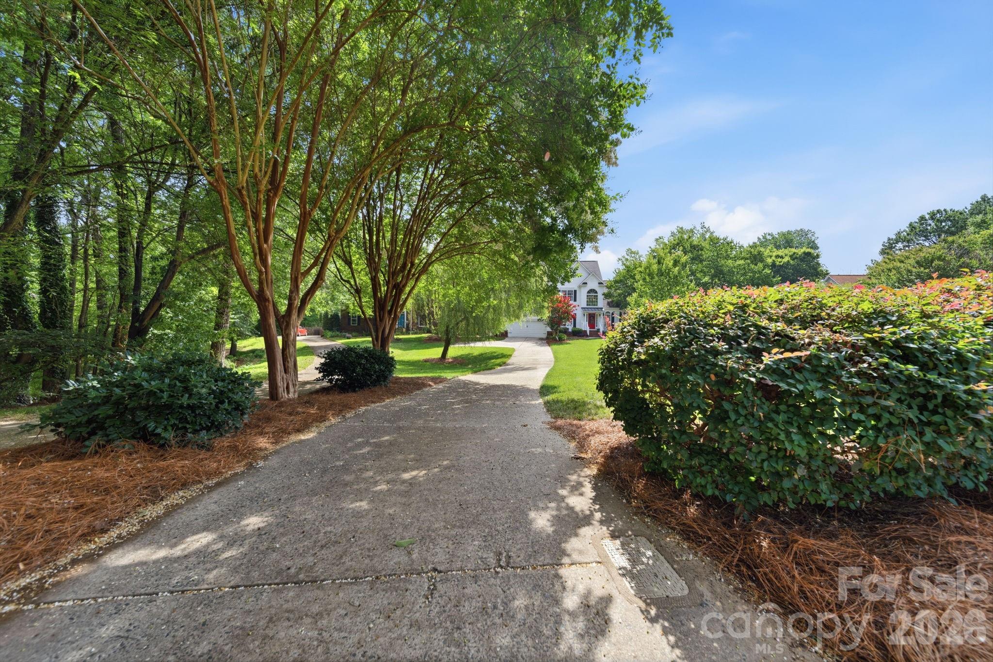 Photo 3 of 10203 Rougemont Lane, Charlotte, NC