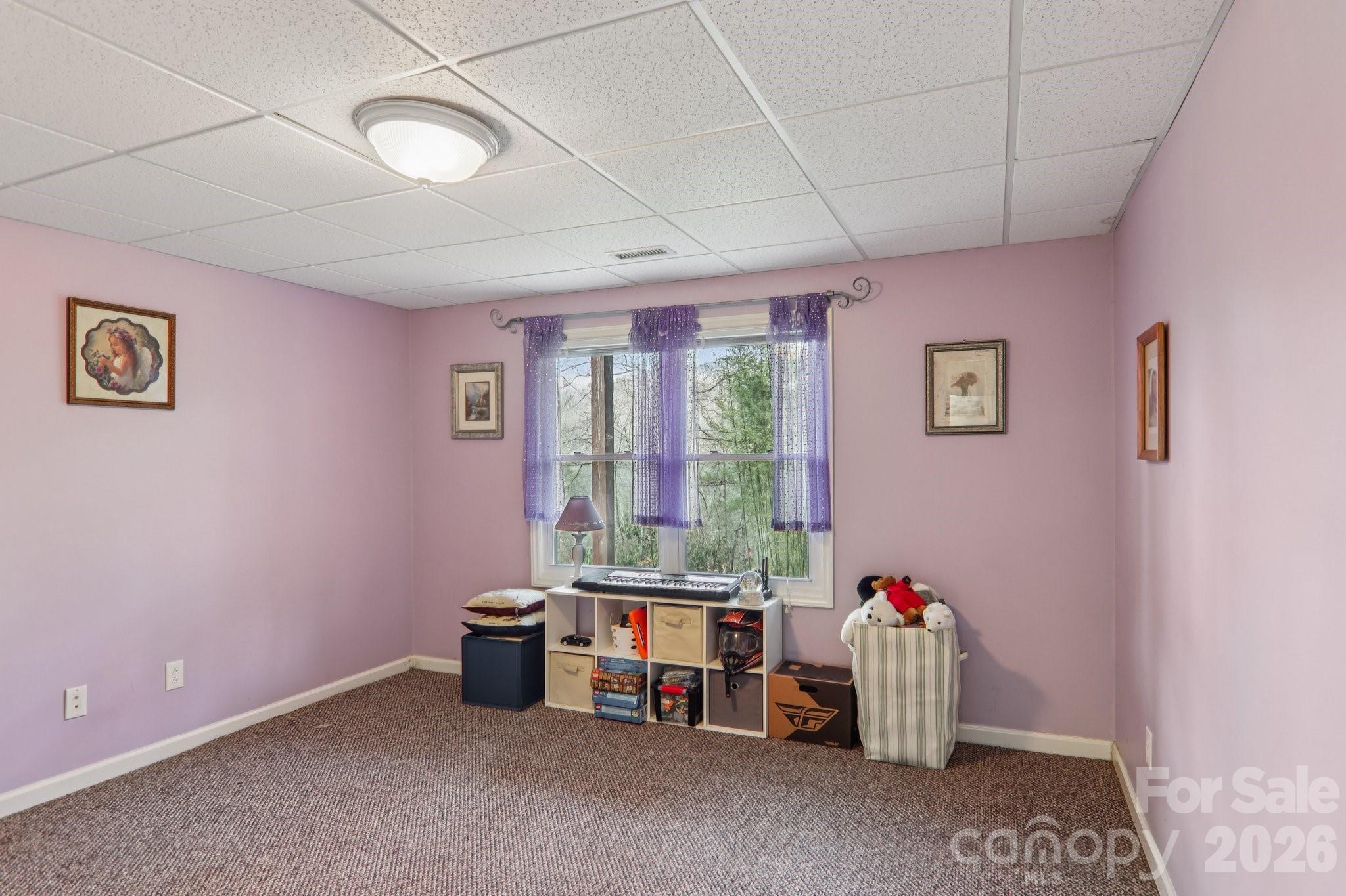741 Zelda Court, Hendersonville, NC - photo 30 of 49