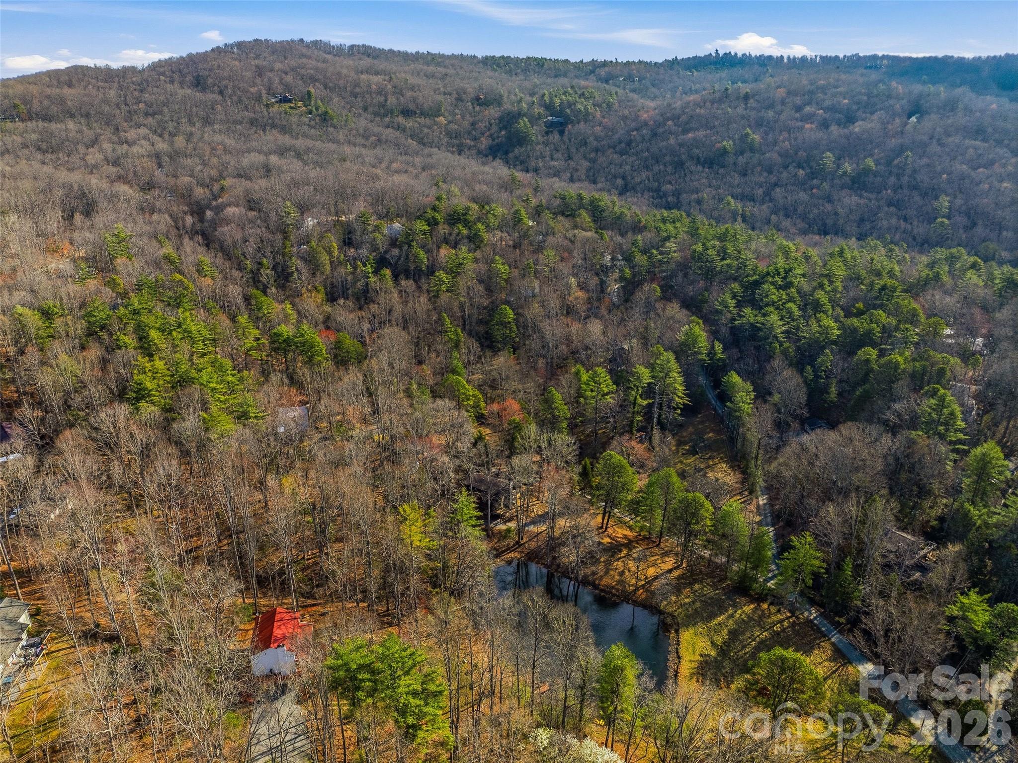 55 Valley Lane, Pisgah Forest, NC - photo 45 of 48