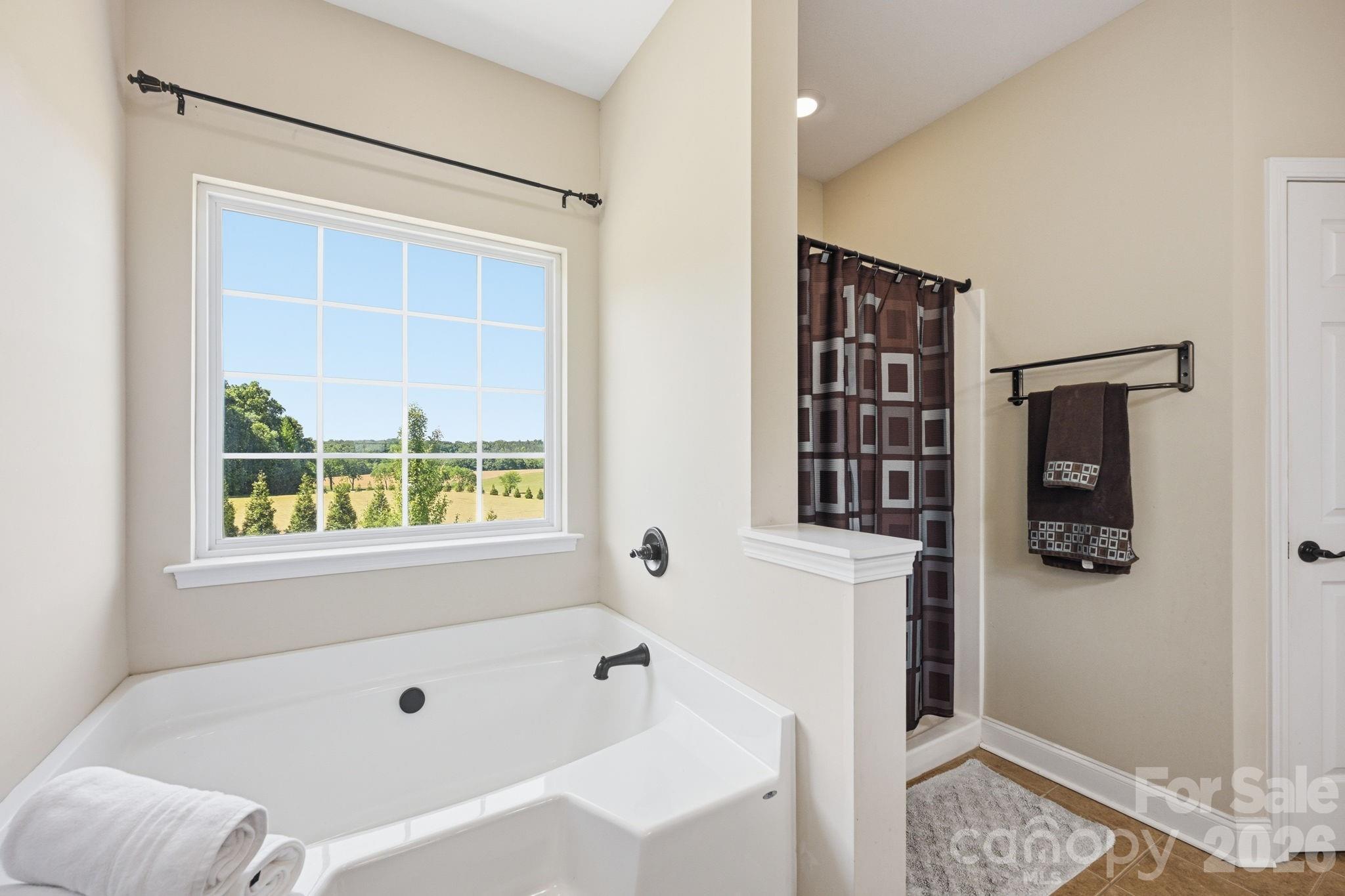 1434 Steeplechase Drive, Mount Pleasant, NC - photo 25 of 49
