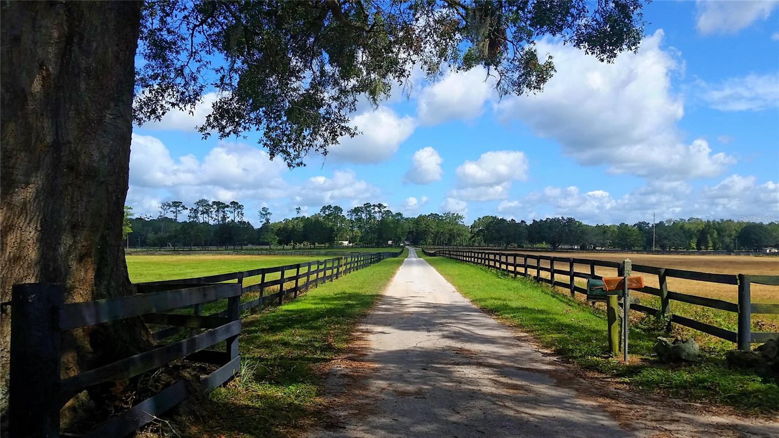 Land For Sale in Ocala & Marion County, Florida | Ocala Ranches