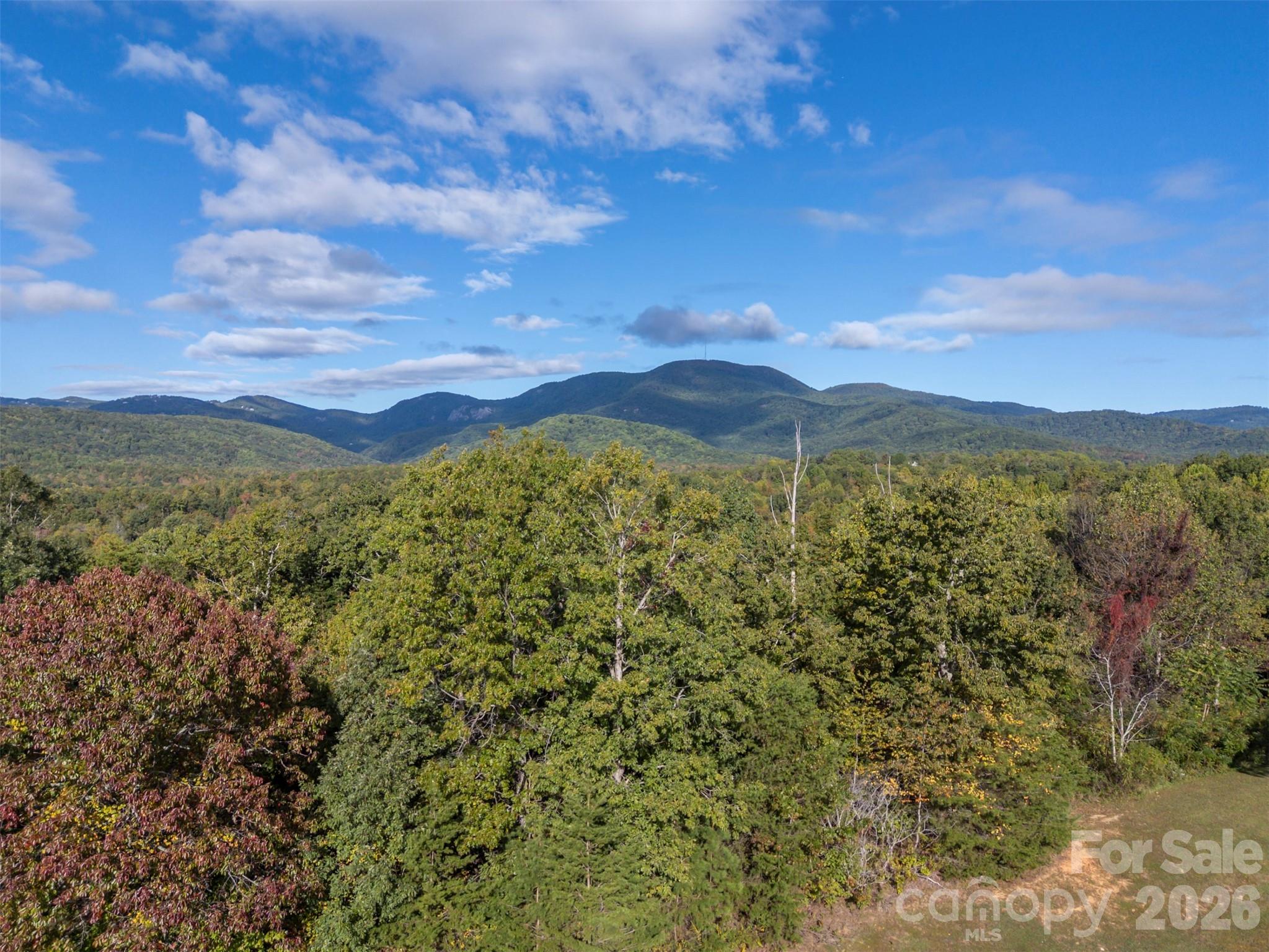 100 Pardo Road, Landrum, SC - photo 7 of 21