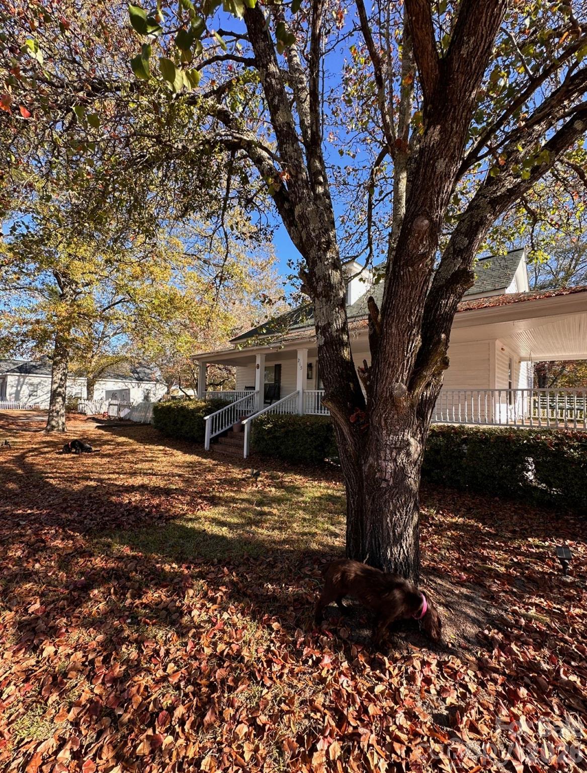 215 S Matson Street, Kershaw, SC - photo 4 of 19