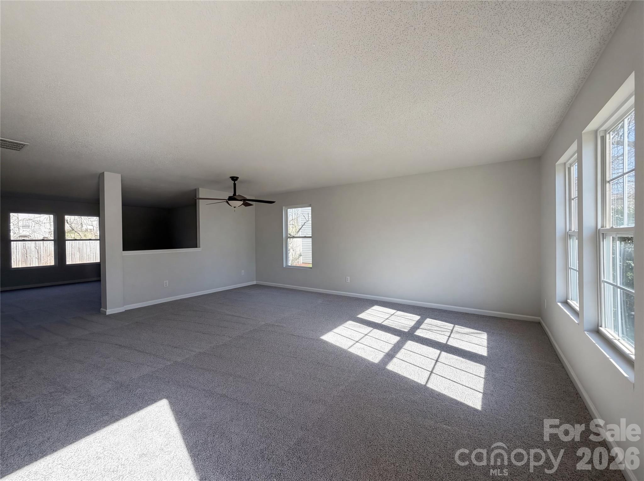 752 Ladino Lane, Clover, SC - photo 4 of 22
