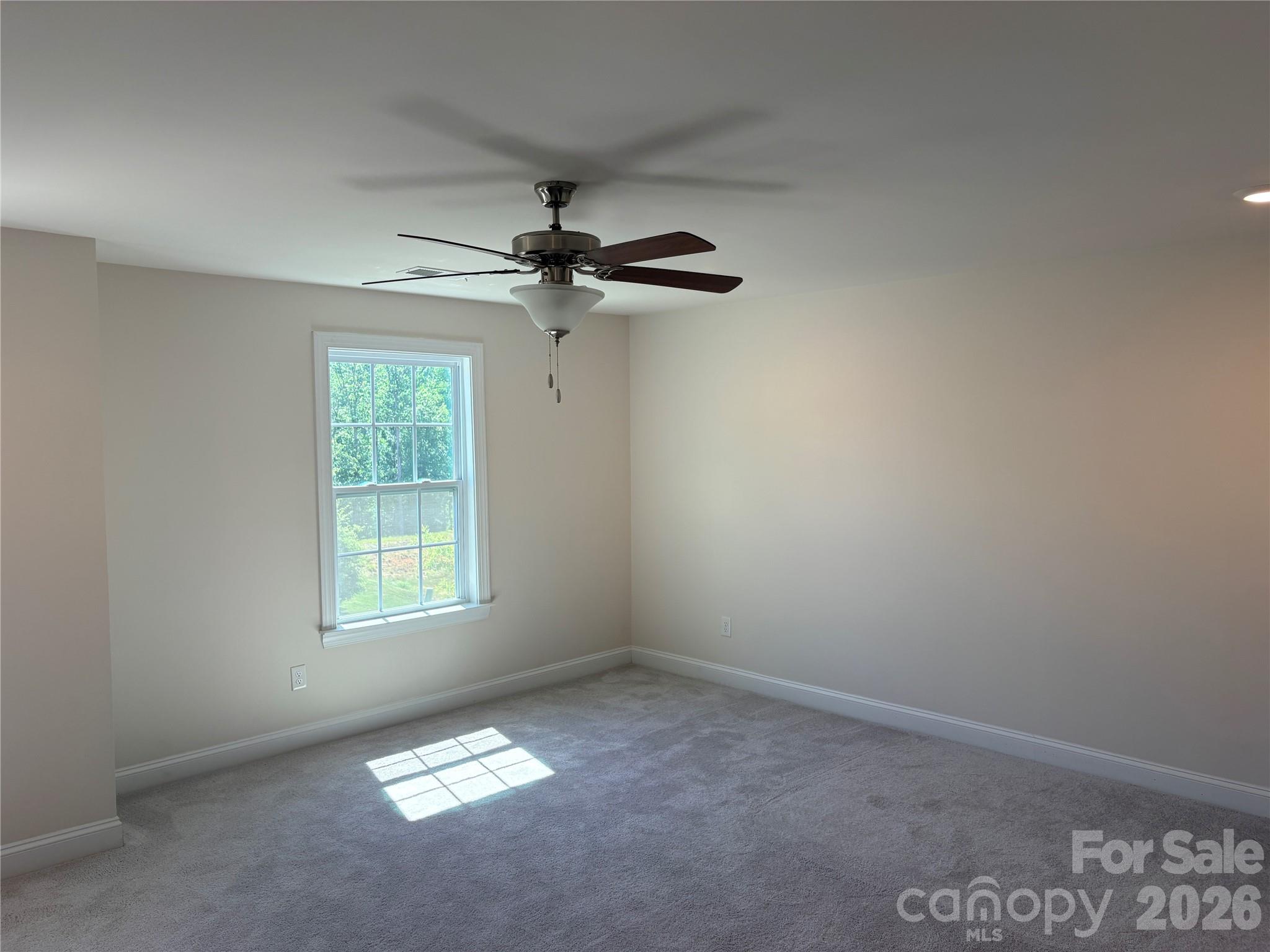Photo 33 of 3346 Friendship Street, Fort Mill, SC