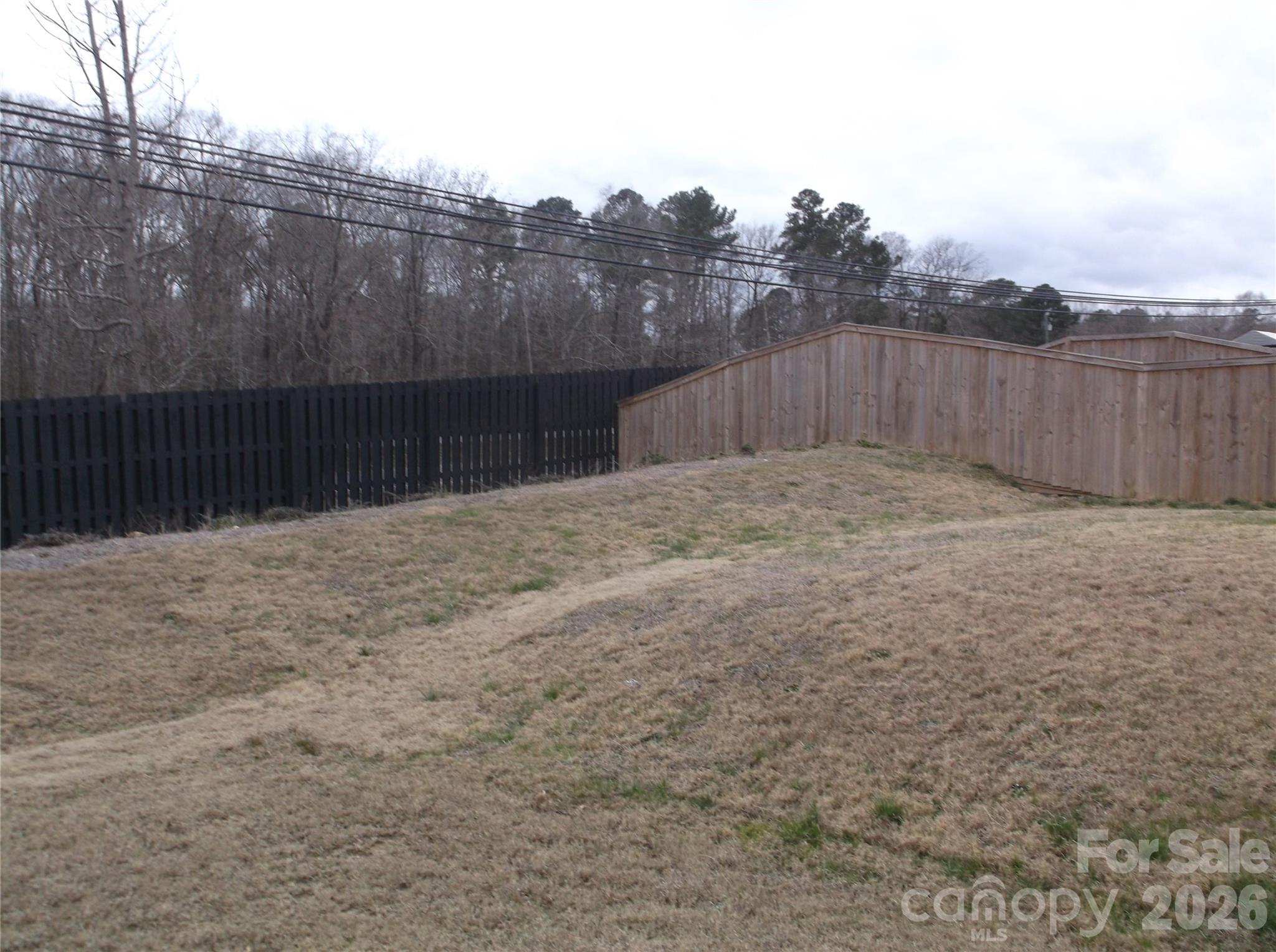 160 Cobbler Drive, Peachland, NC - photo 3 of 16