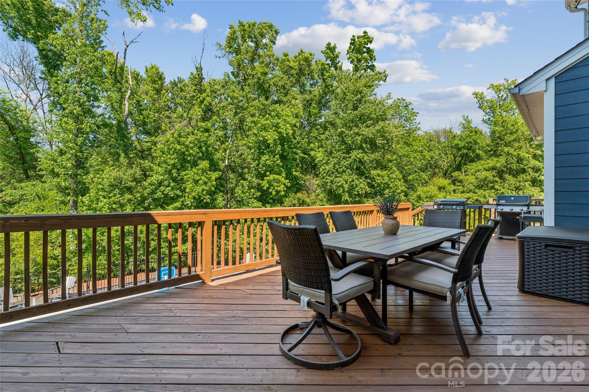 1074 Weir Court, Fort Mill, SC - photo 43 of 49