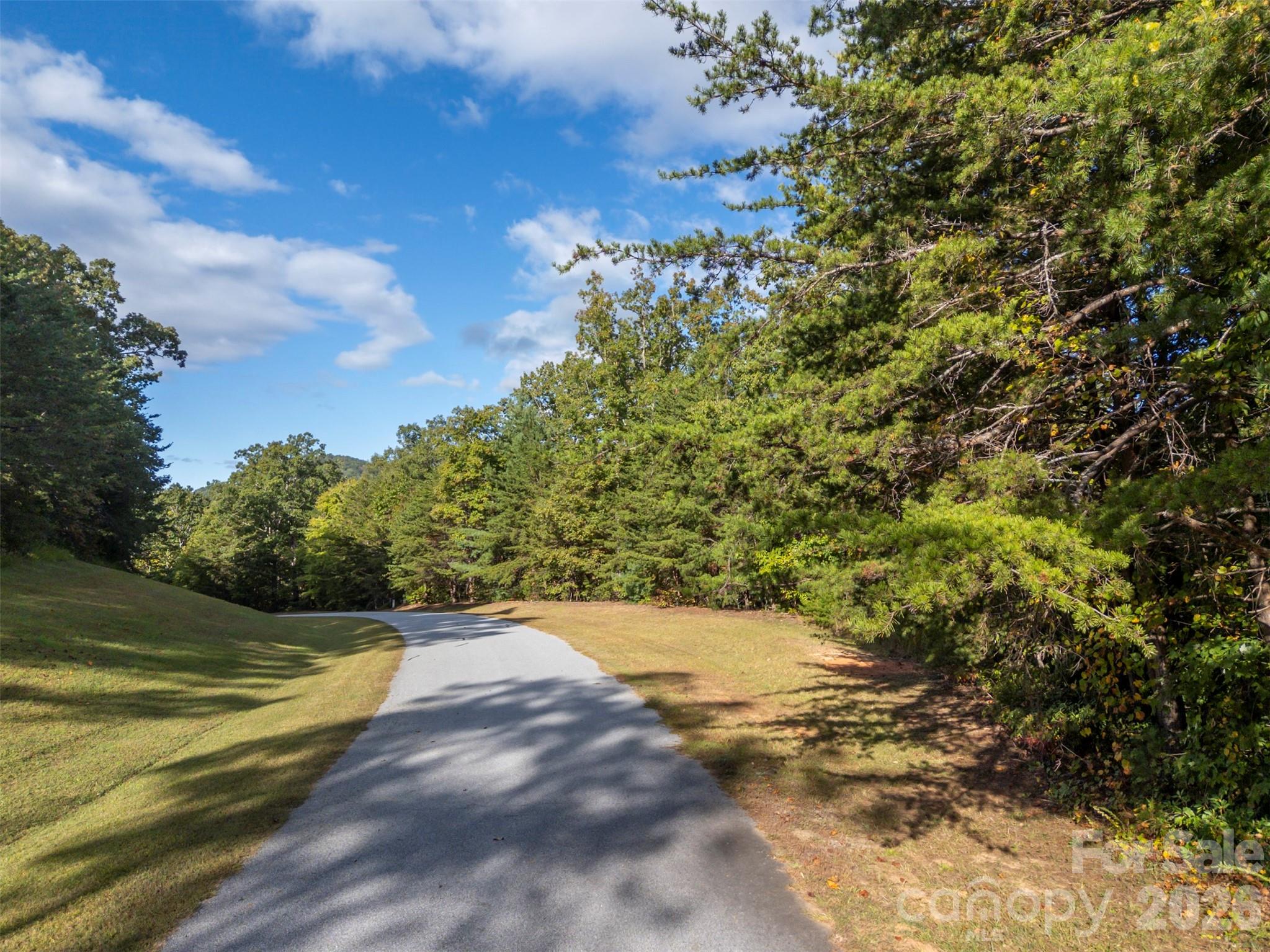 100 Pardo Road, Landrum, SC - photo 12 of 21