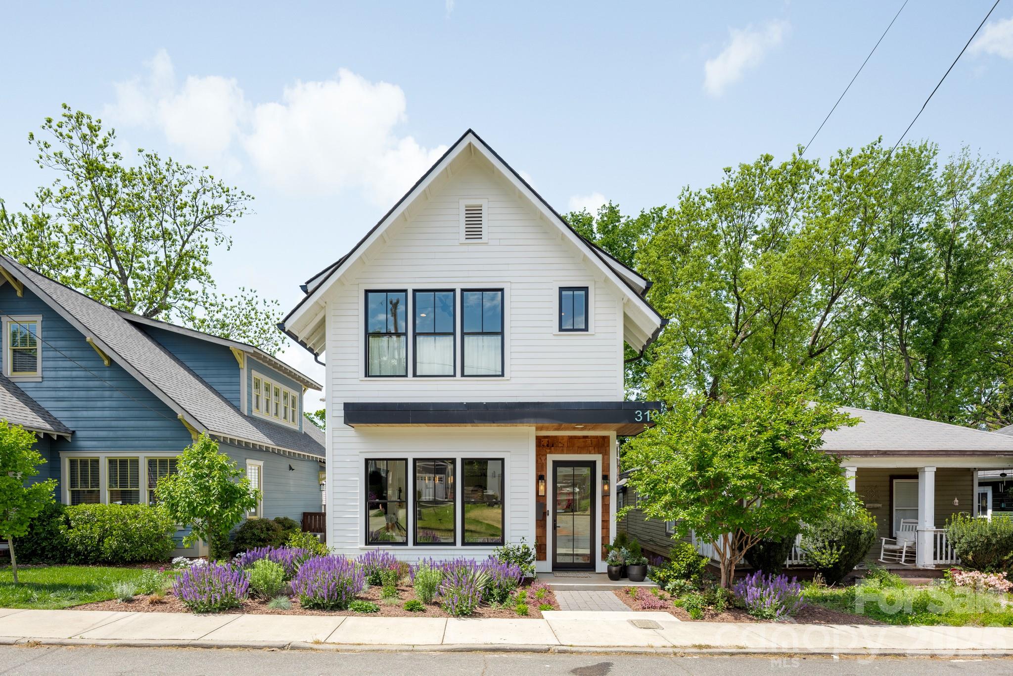 313 Solomon Street, Charlotte, NC - photo 2 of 46