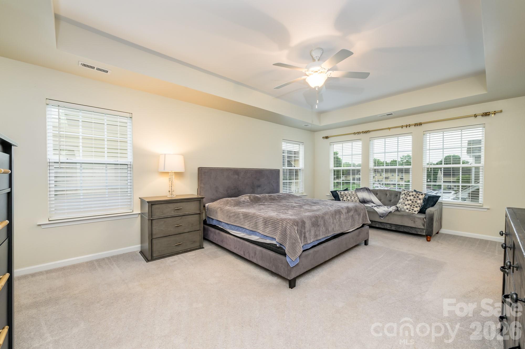 10732 Trolley Run Drive, Cornelius, NC - photo 29 of 49