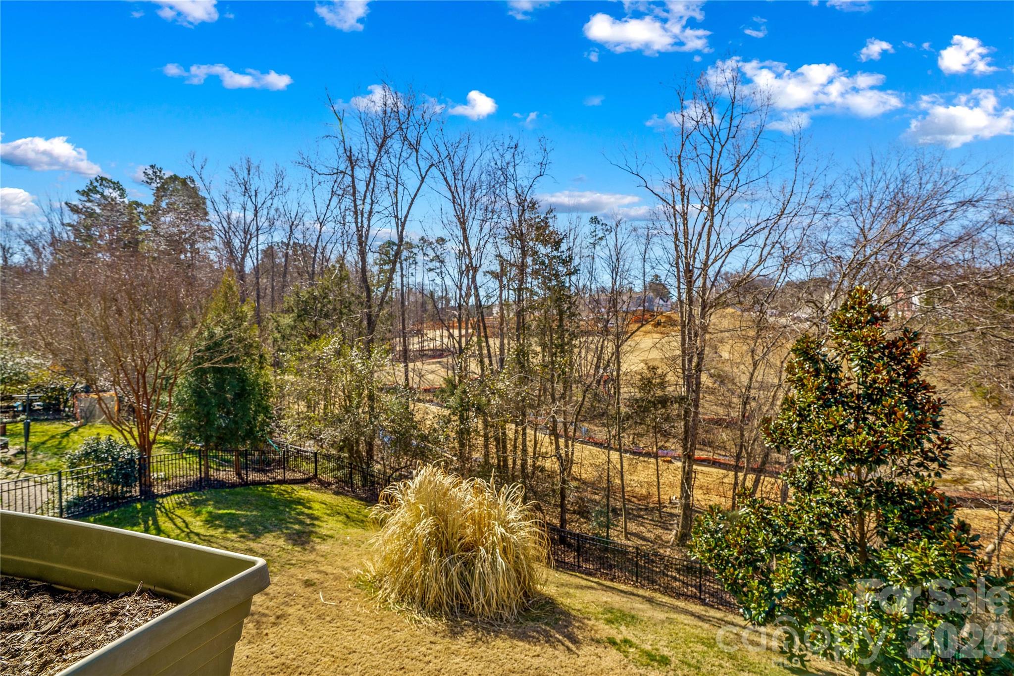 13603 Helen Benson Boulevard, Davidson, NC - photo 22 of 29