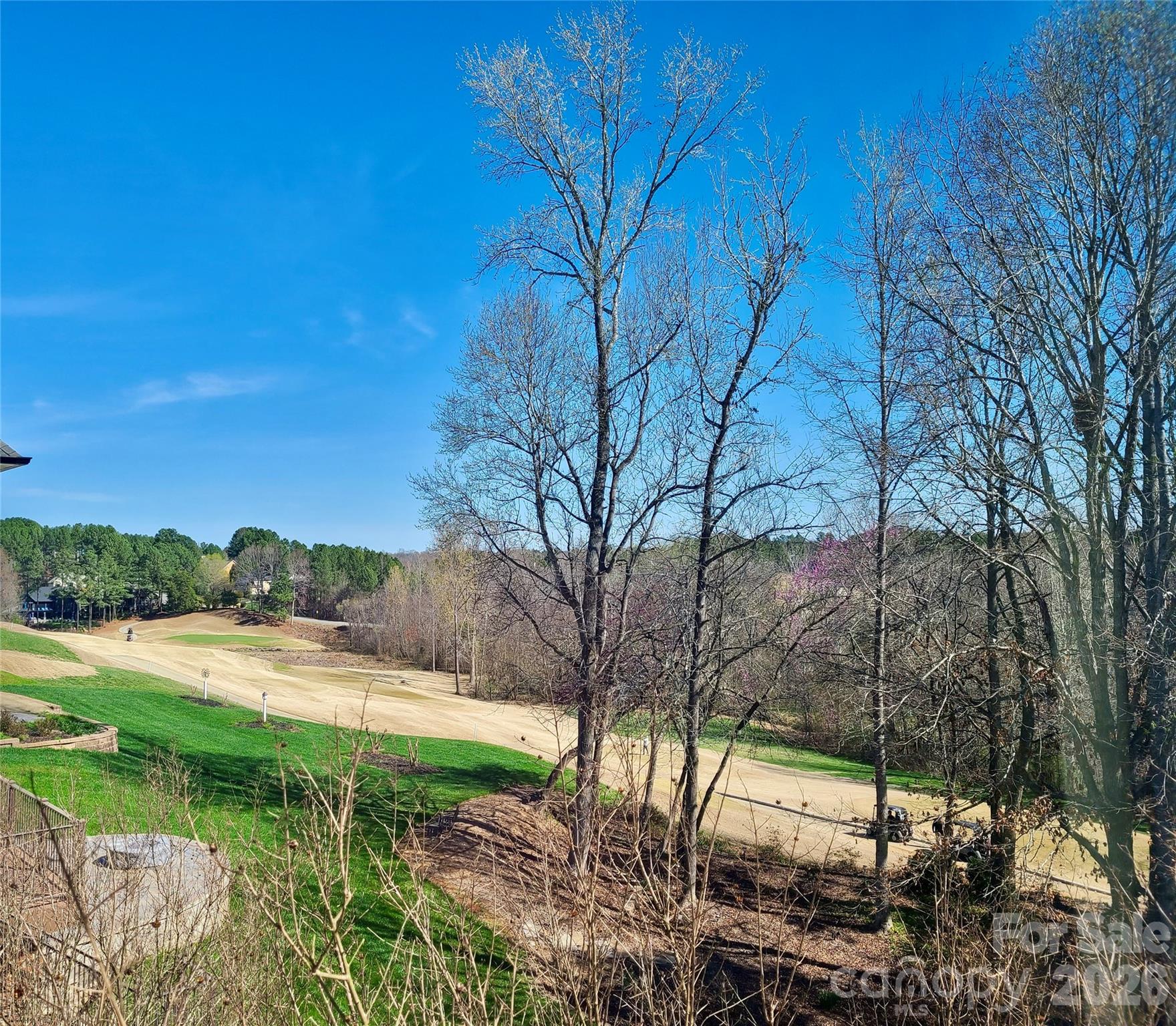 1470 Valhalla Drive, Denver, NC - photo 6 of 42