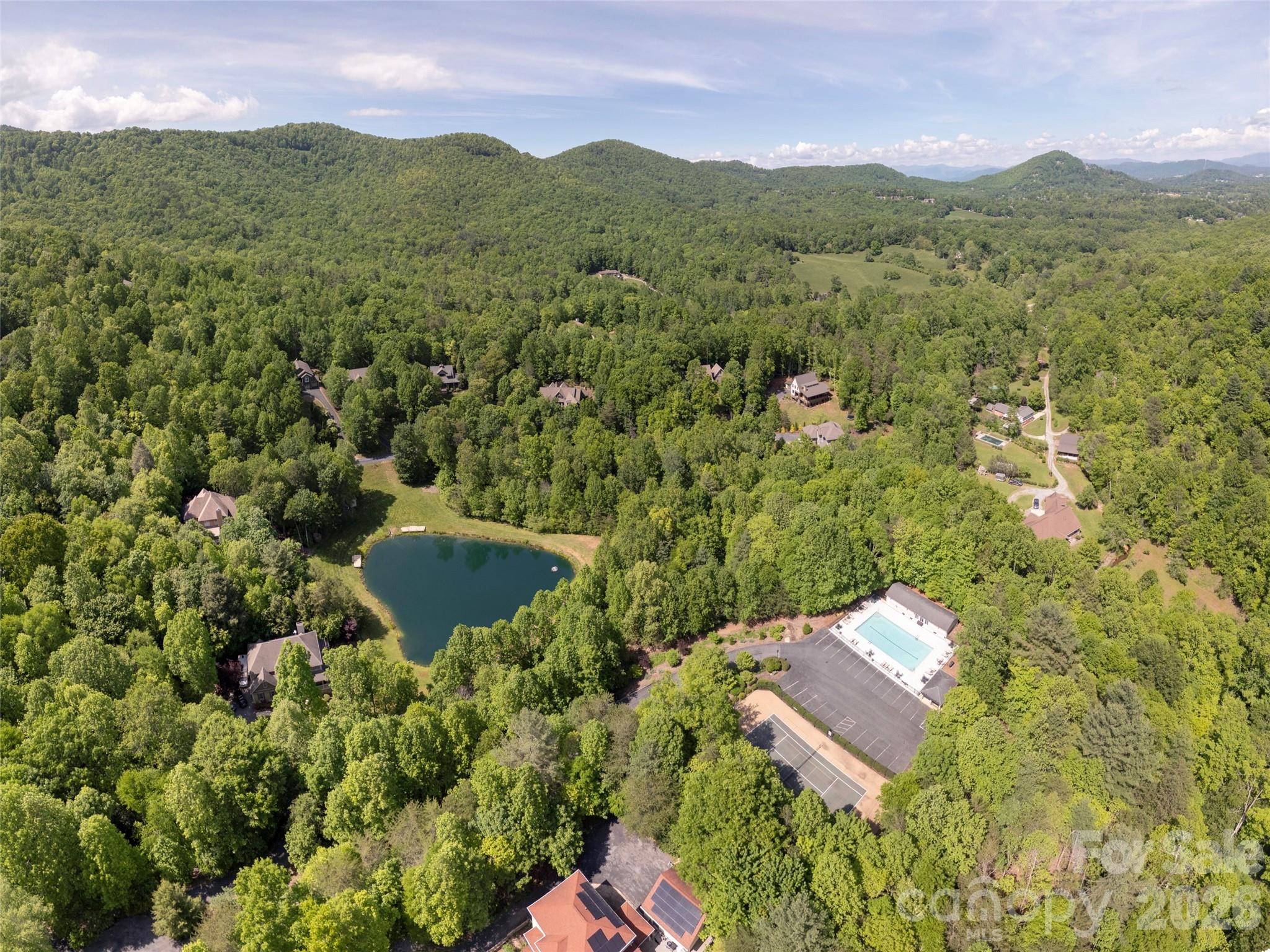 417 Blue Mist Way, Arden, NC - photo 48 of 49