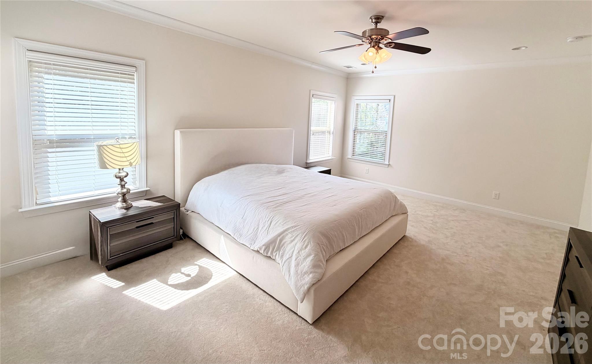 725 Kathy Dianne Drive, Fort Mill, SC - photo 23 of 47