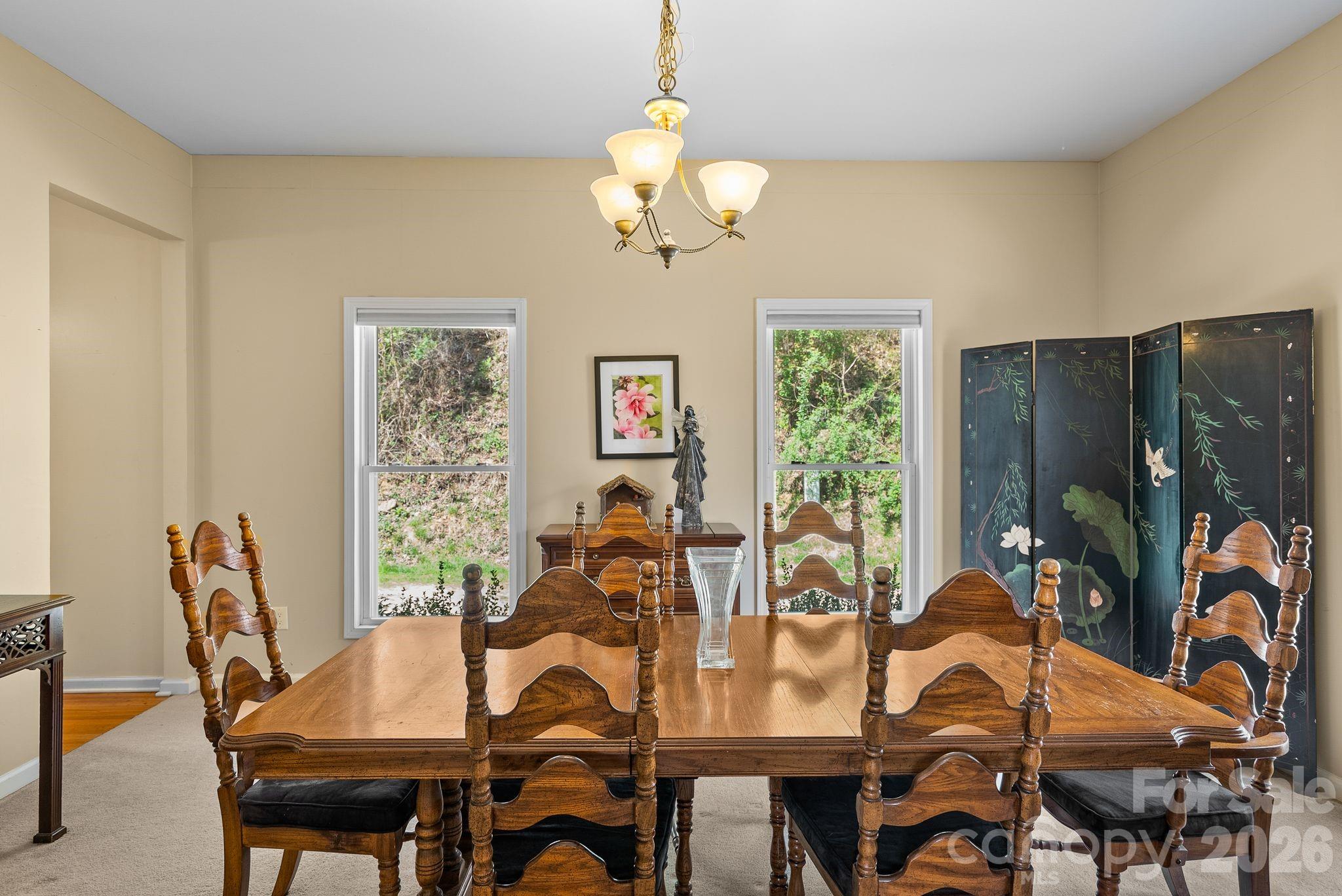 267 Eagles Trace, Canton, NC - photo 20 of 49