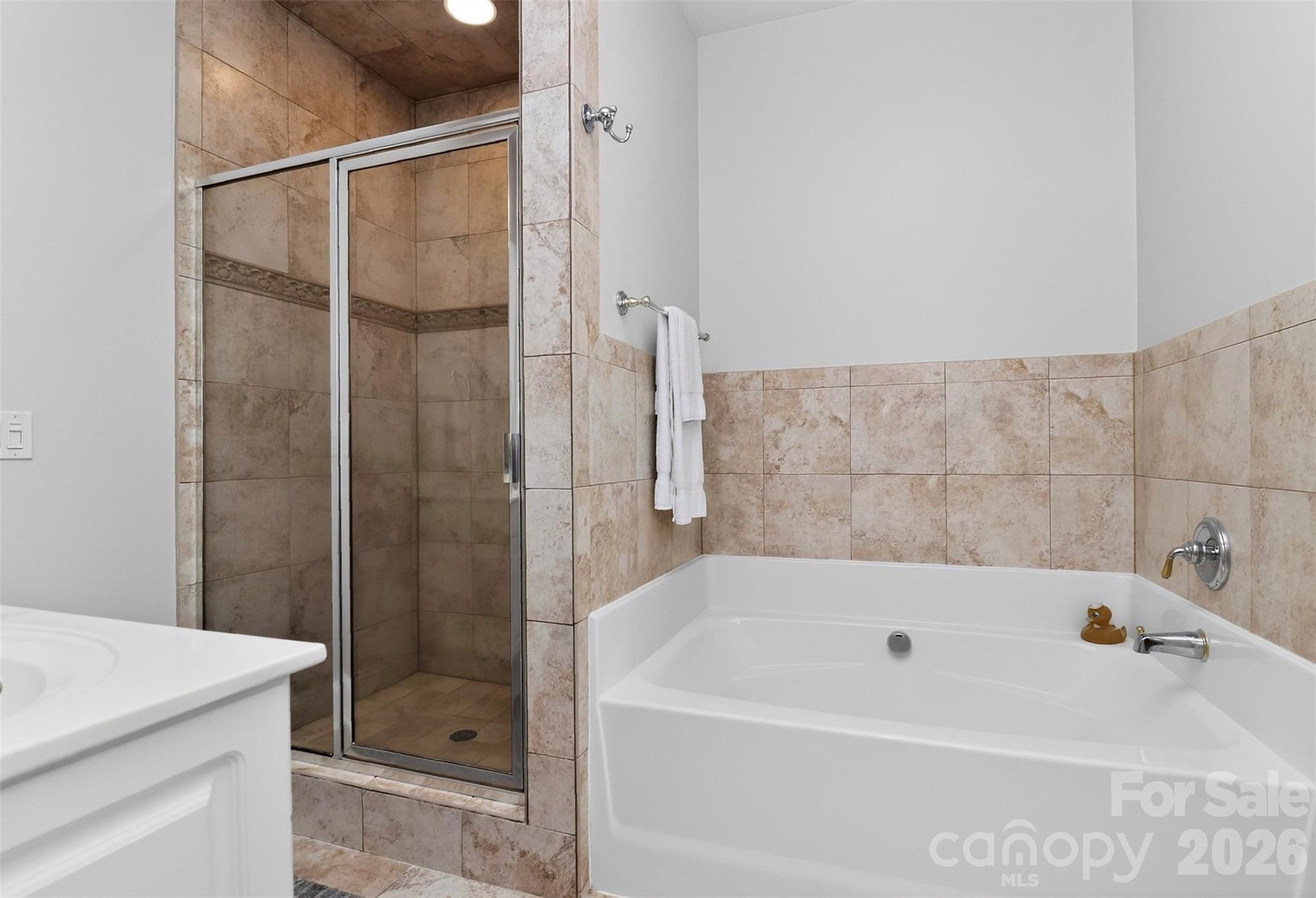 439 Ohenry Avenue, Davidson, NC - photo 13 of 44
