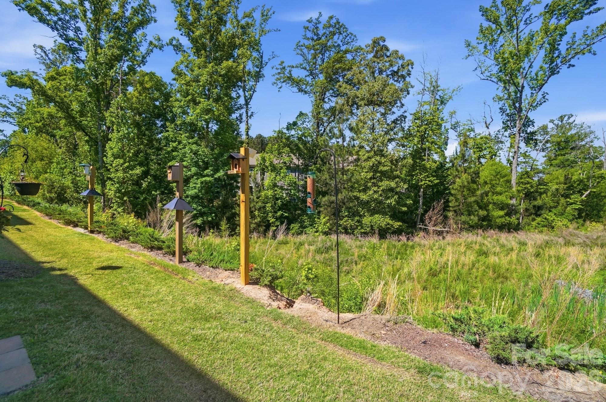 537 Madison Falls Court, Fort Mill, SC - photo 47 of 48