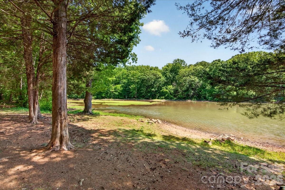 6410 Latta Springs Circle, Huntersville, NC - photo 43 of 49