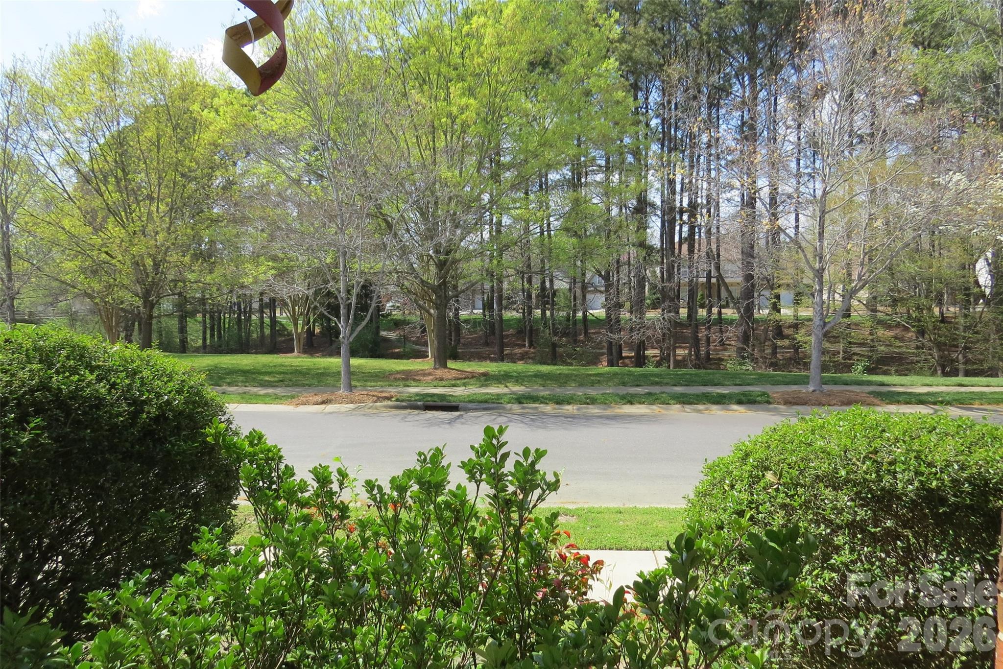 8500 Willow Branch Drive, Waxhaw, NC - photo 4 of 31