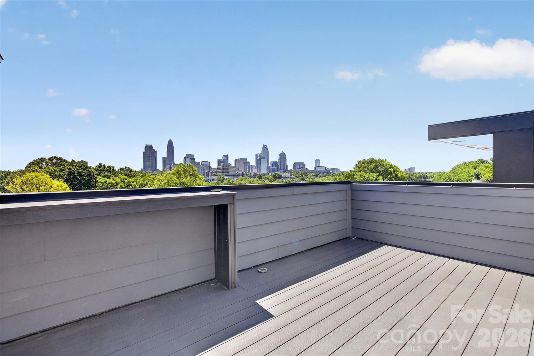 308 Frazier Avenue, Charlotte, NC - photo 35 of 47