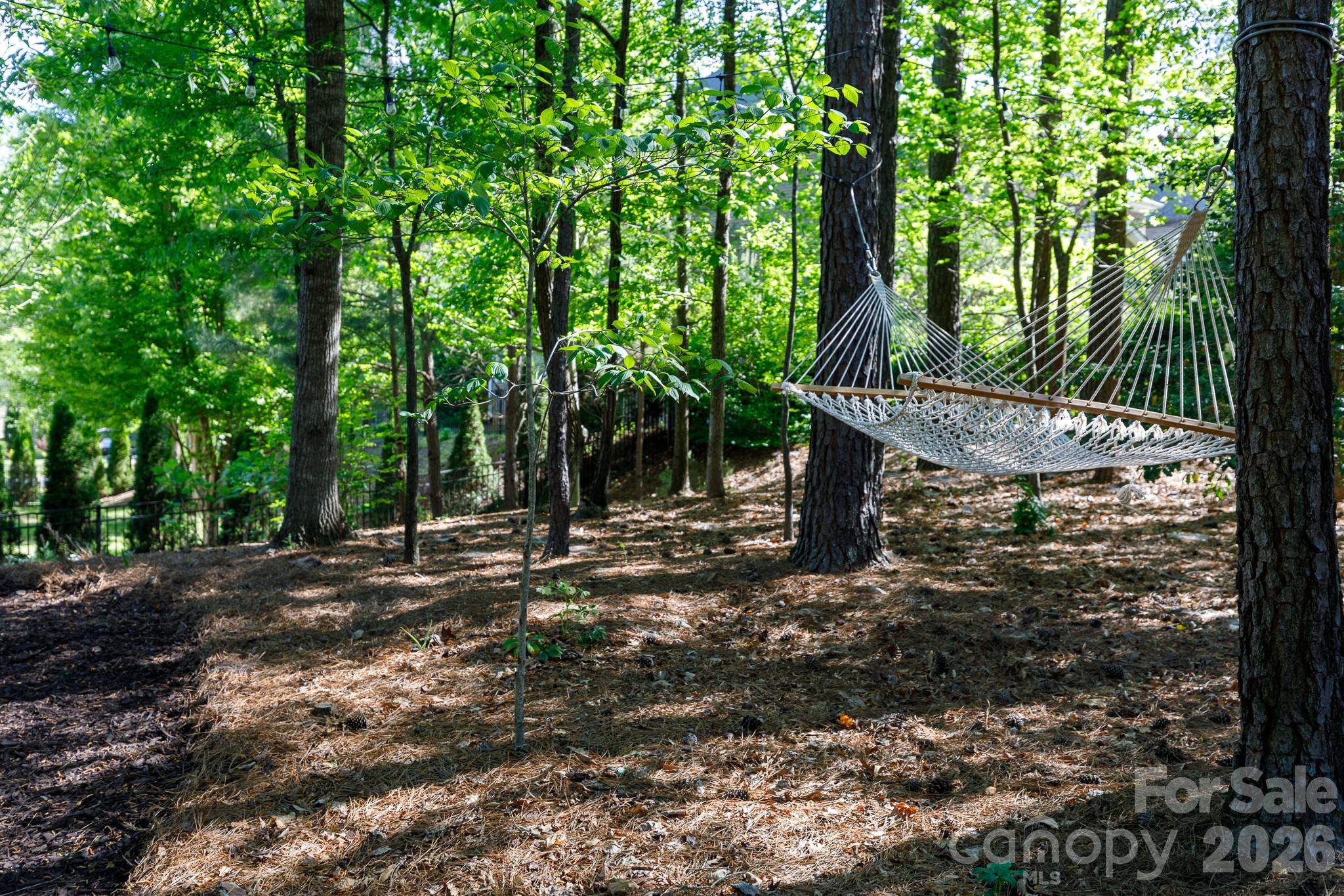 6704 Montgomery Road, Lake Wylie, SC - photo 37 of 42