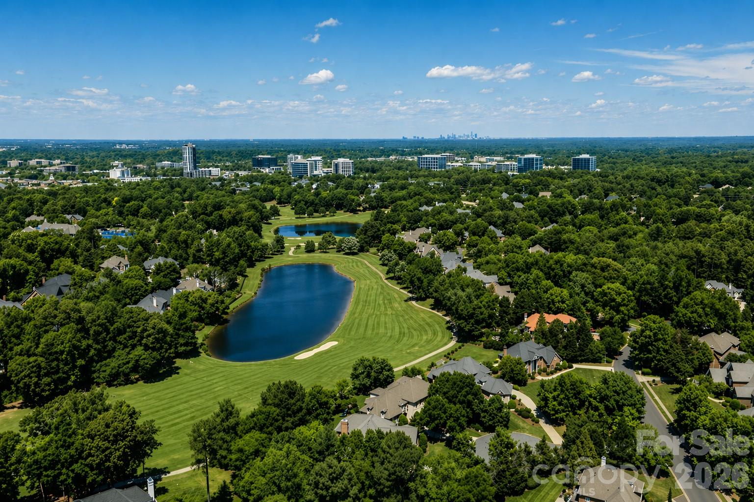 15709 Ballantyne Country Club Drive, Charlotte, NC - photo 6 of 49
