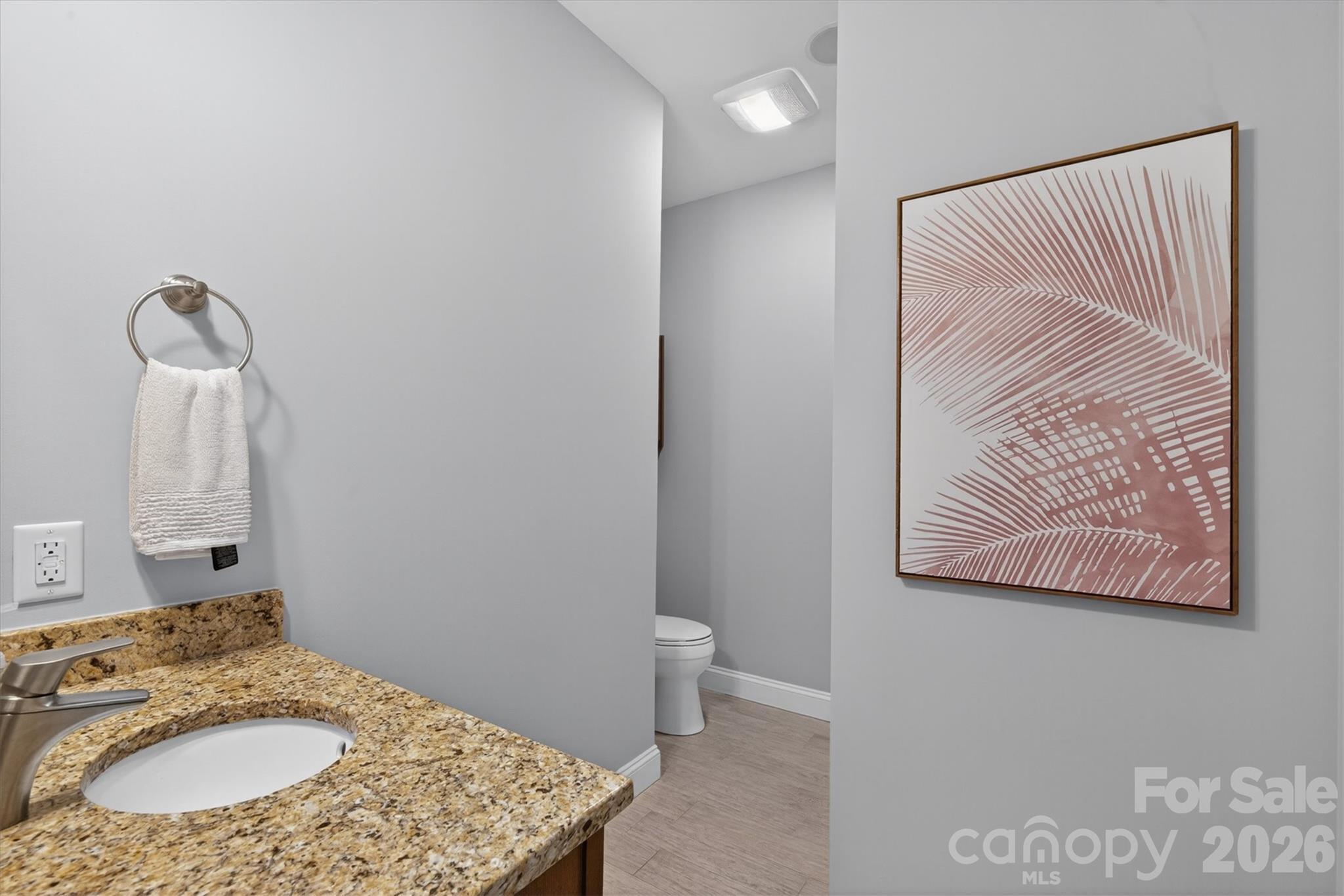 189 Mills Lane, Fort Mill, SC - photo 30 of 49