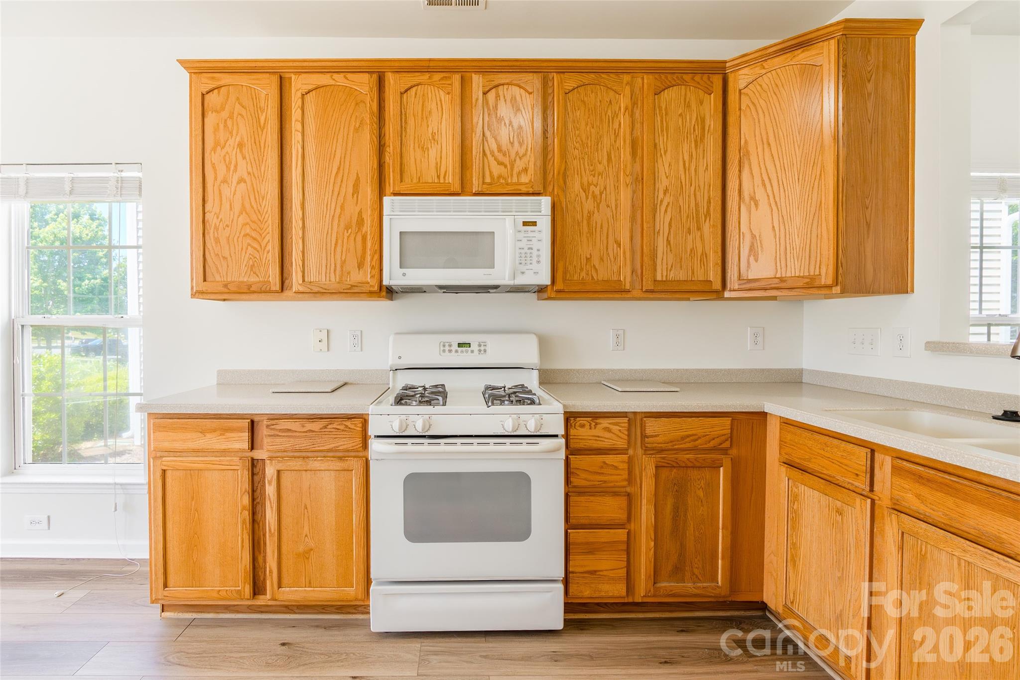 130 Autumn Falls Drive, Lake Wylie, SC - photo 9 of 33