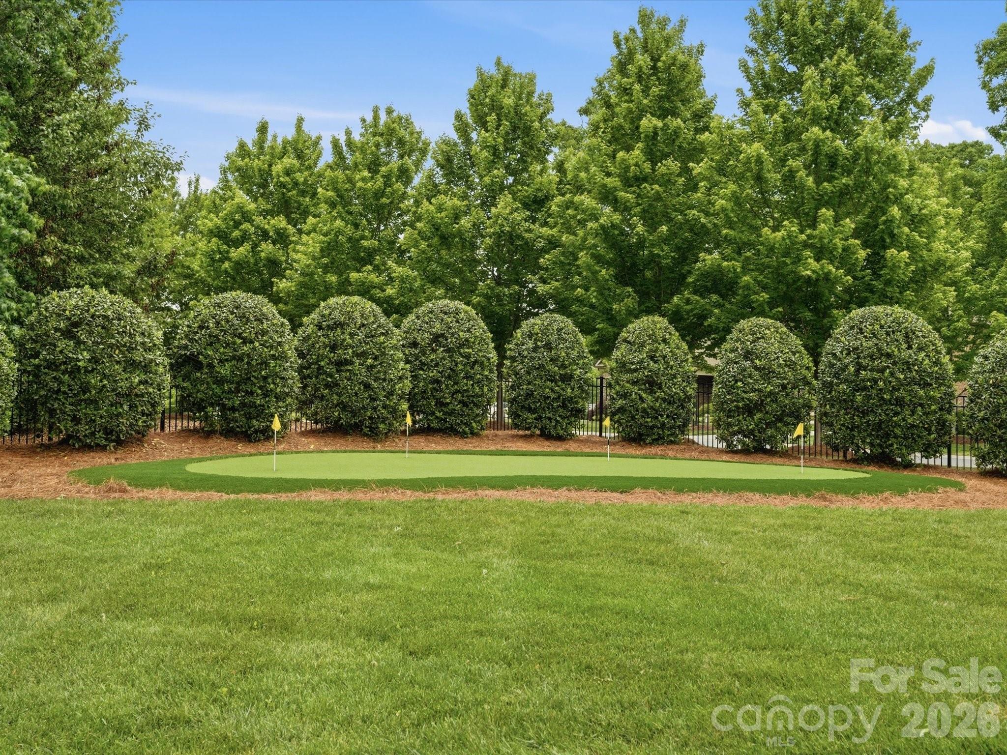 1269 Delaney Drive, Weddington, NC - photo 37 of 47