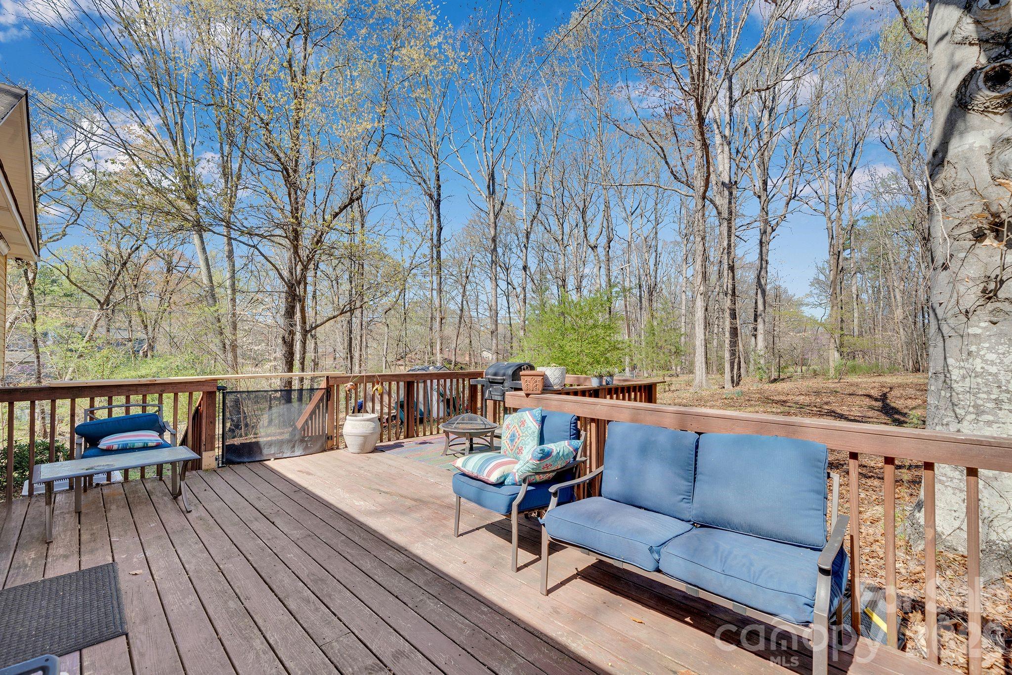 5317 Quail Ridge Drive, Mint Hill, NC - photo 38 of 43