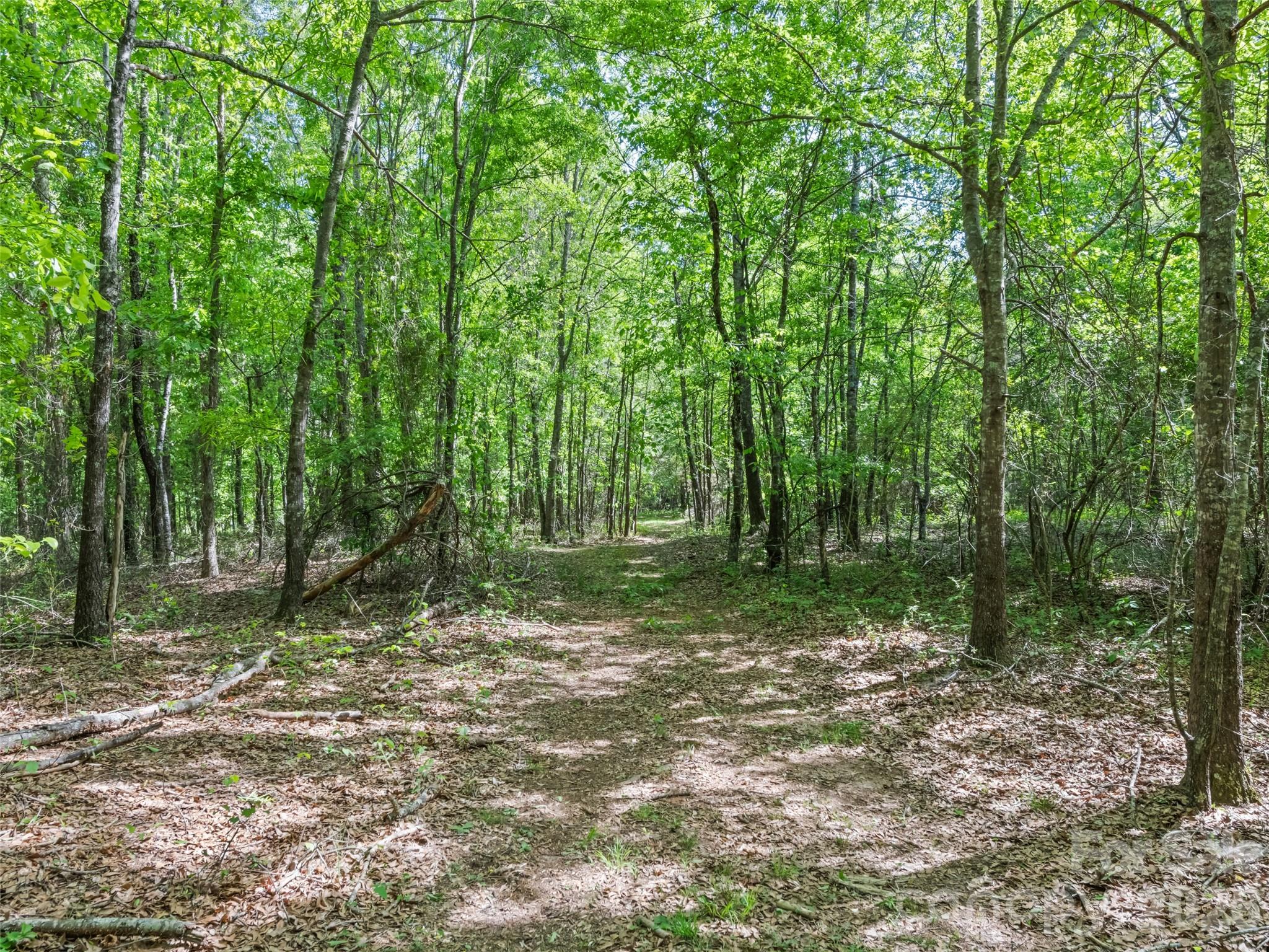 311 Soco Gap Road, Ellenboro, NC - photo 12 of 25