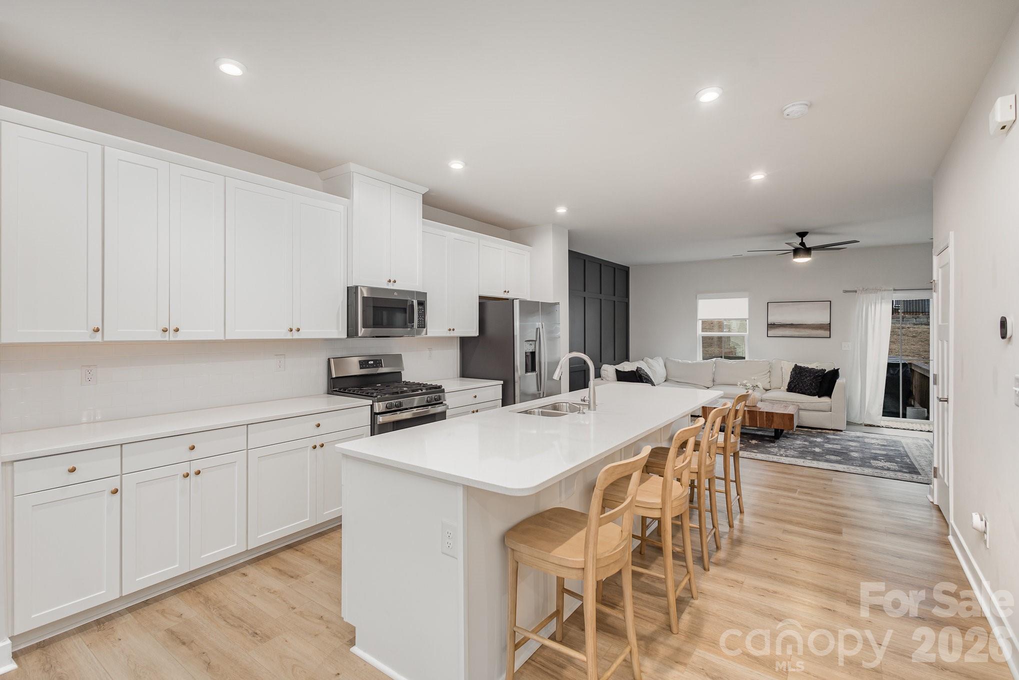 448 Lahinch Drive, Tega Cay, SC - photo 2 of 45