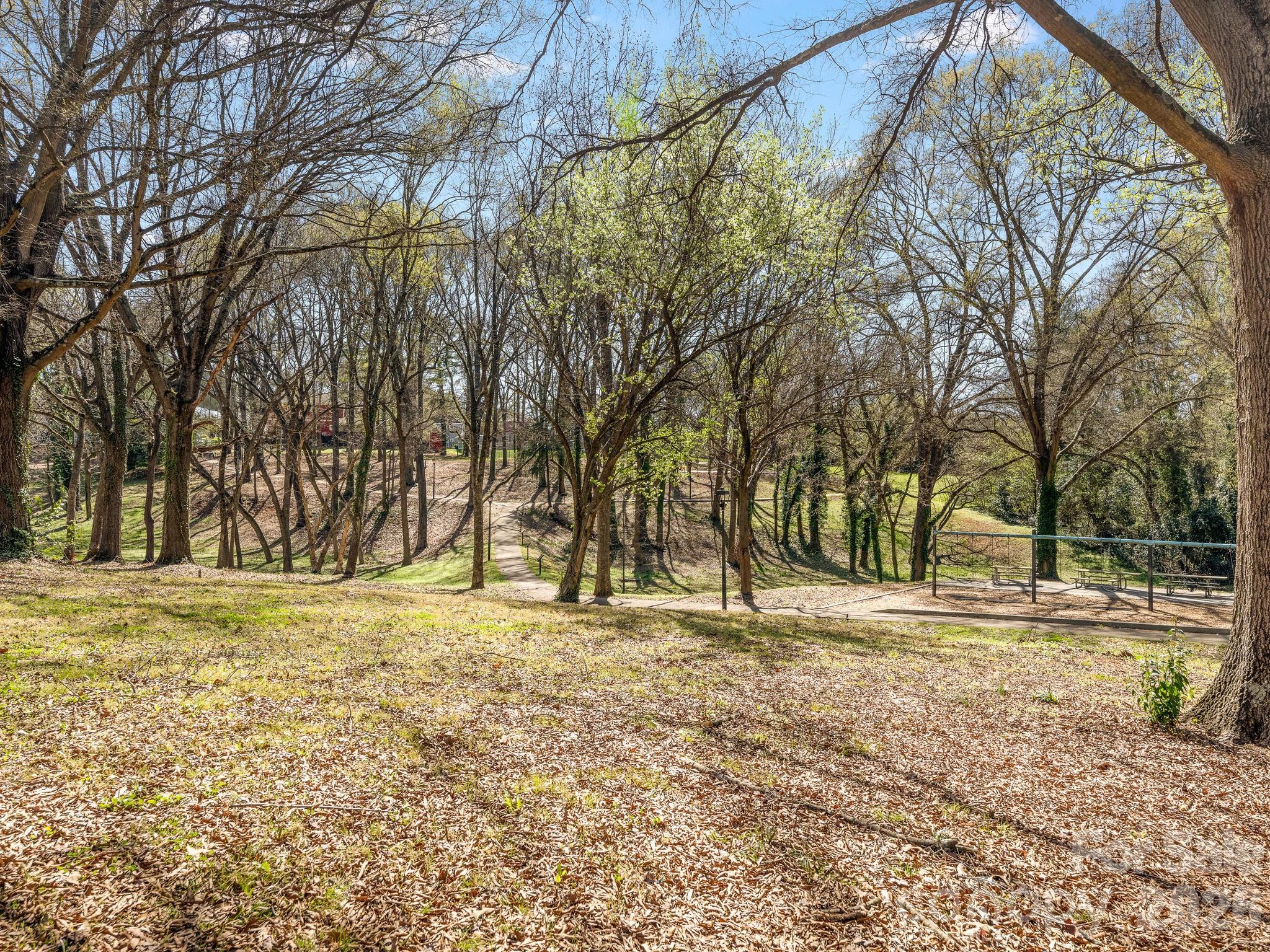 129 French StreetA, Charlotte, NC - photo 36 of 37