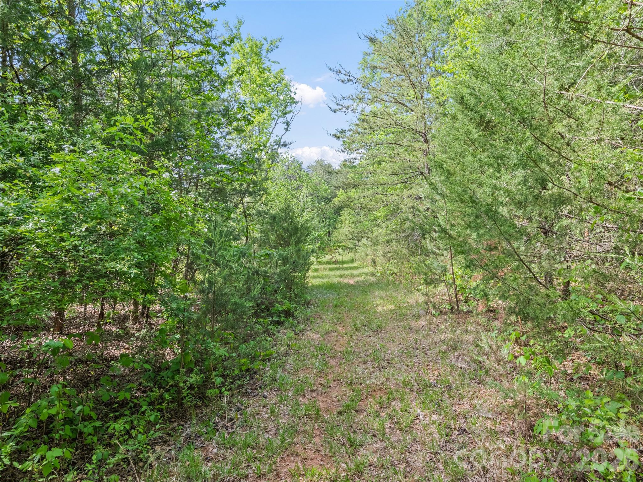 311 Soco Gap Road, Ellenboro, NC - photo 11 of 25
