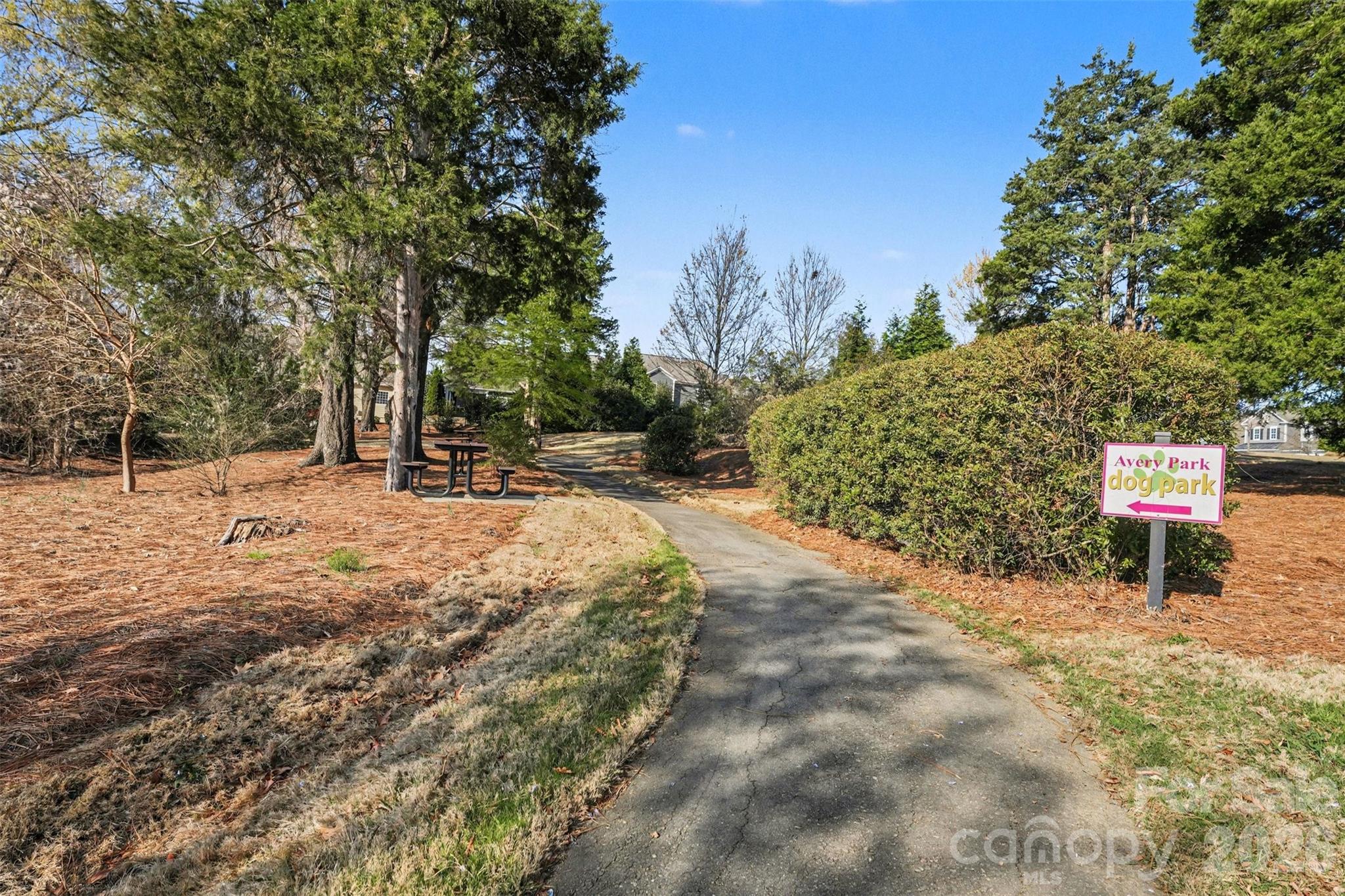 12409 Cranberry Glades Drive, Cornelius, NC - photo 34 of 35