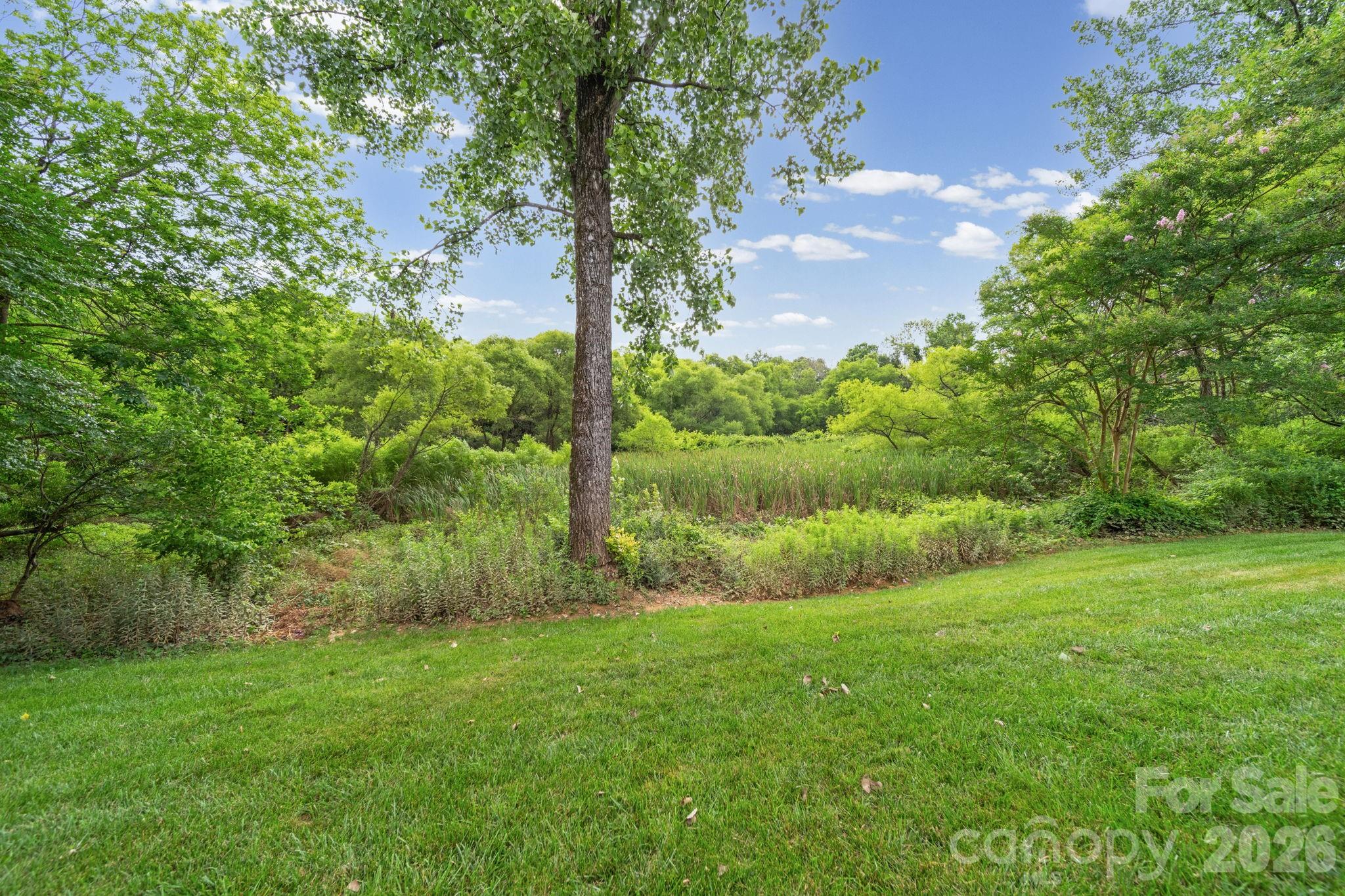 Photo 35 of 10203 Rougemont Lane, Charlotte, NC