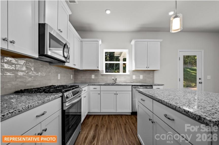 4239 Ruth Creek Court, Charlotte, NC - photo 10 of 25